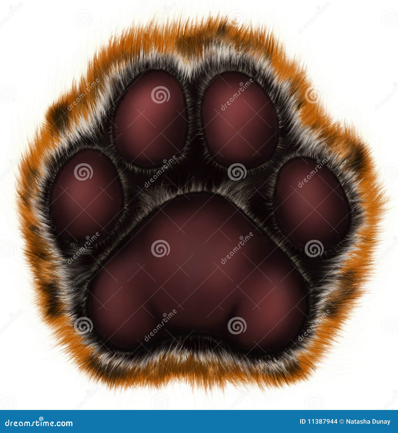 Tiger Paw on White Background Stock Illustration - Illustration of ...
