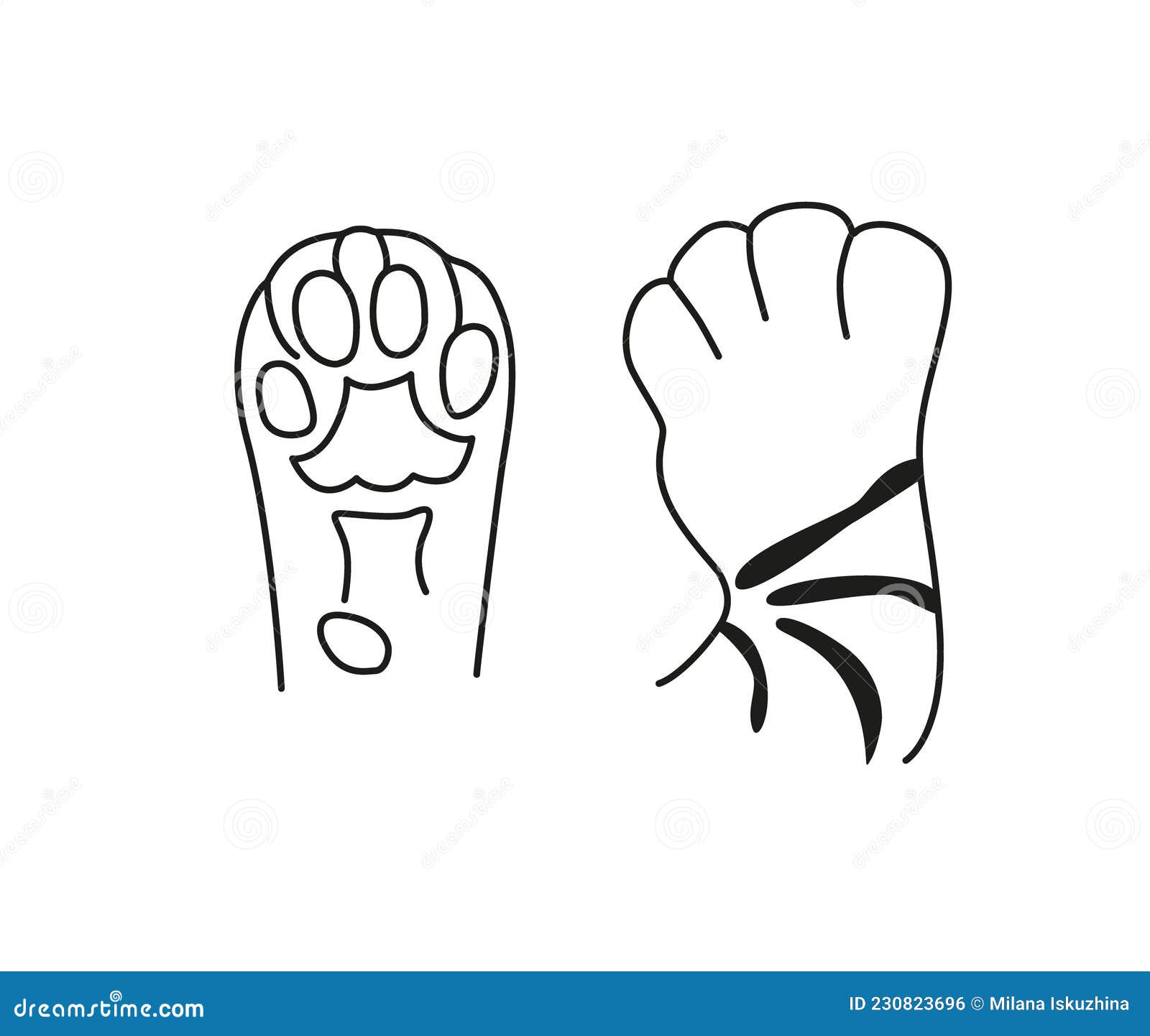Tiger Paws Front and Back View. Stock Vector - Illustration of ...