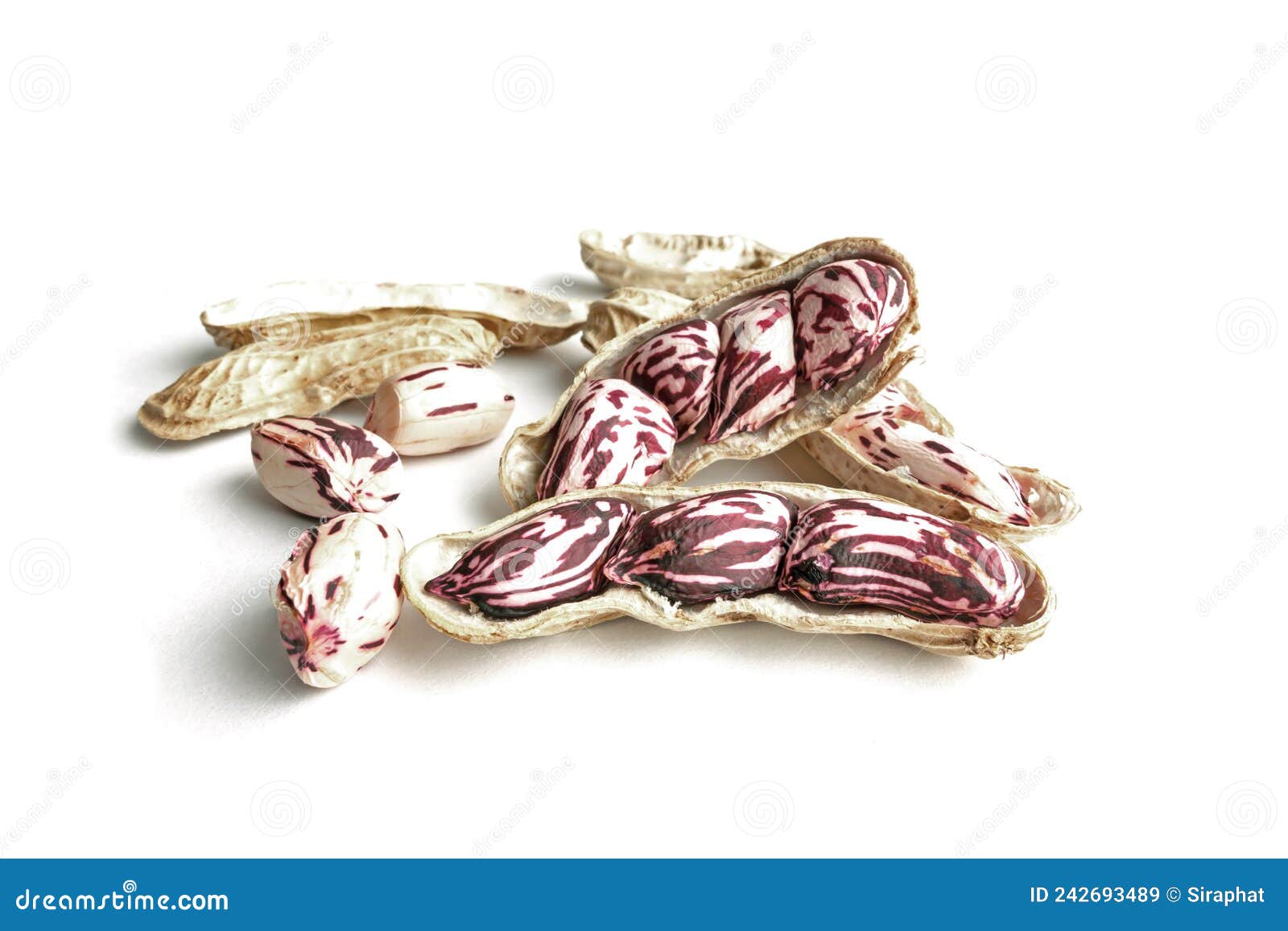 Tiger Peanuts Isolated on White Background Stock Image - Image of food ...