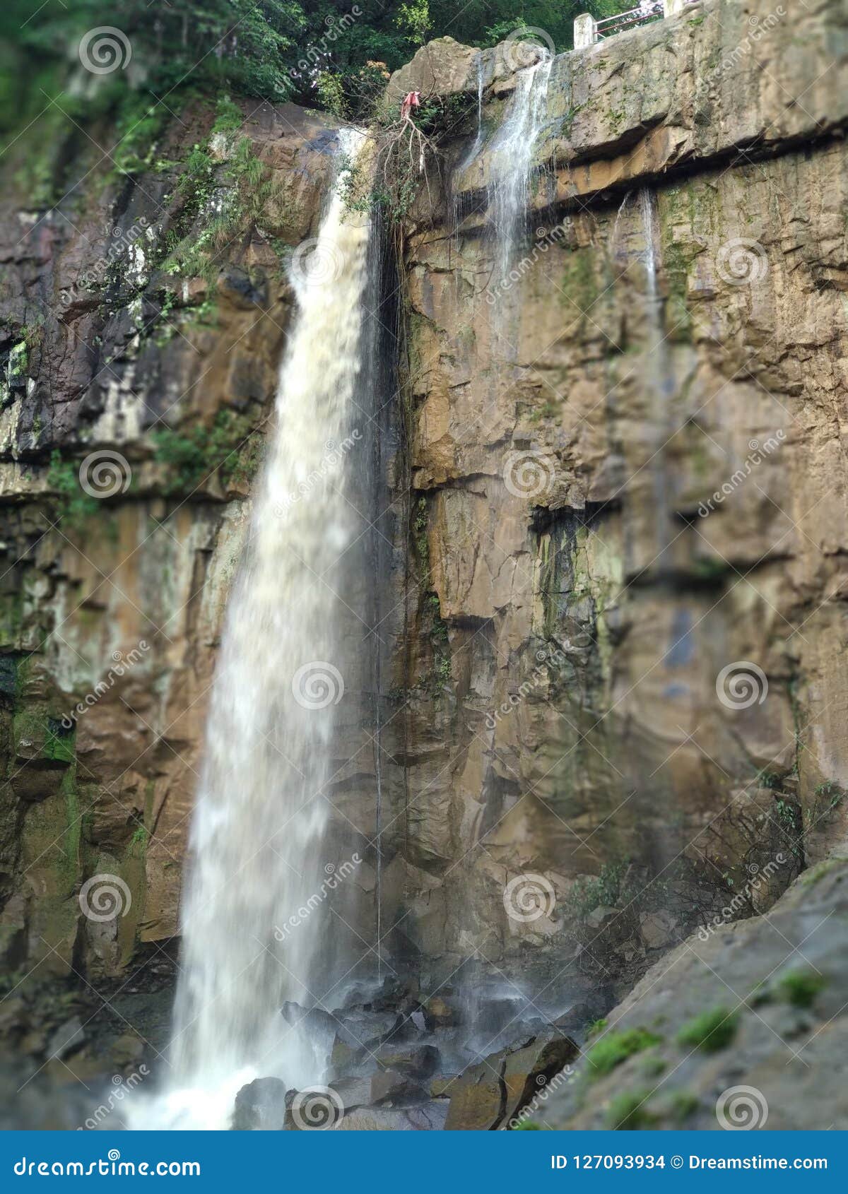 Mainpath Surguja Stock Photos - Free & Royalty-Free Stock Photos from ...