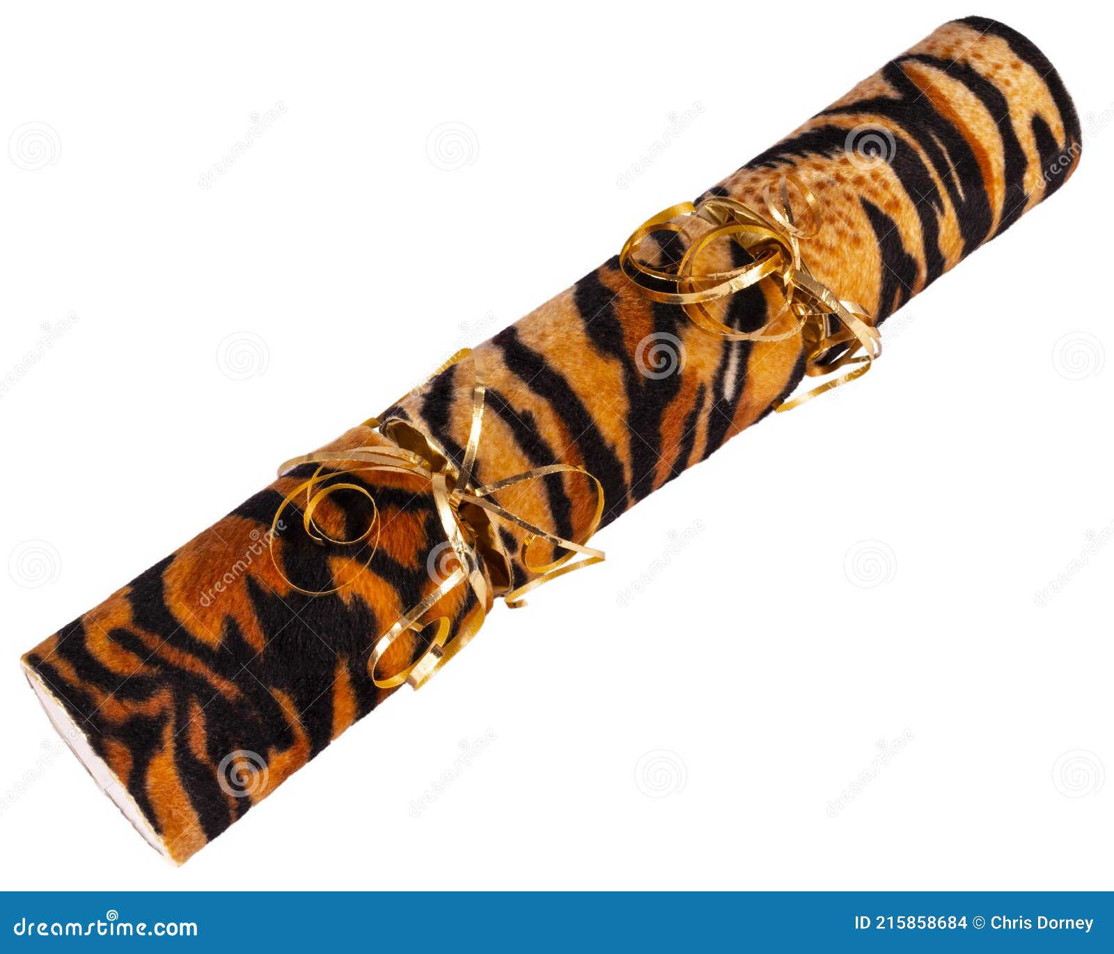 Tiger Print Cracker stock photo. Image of partying, crafts - 215858684