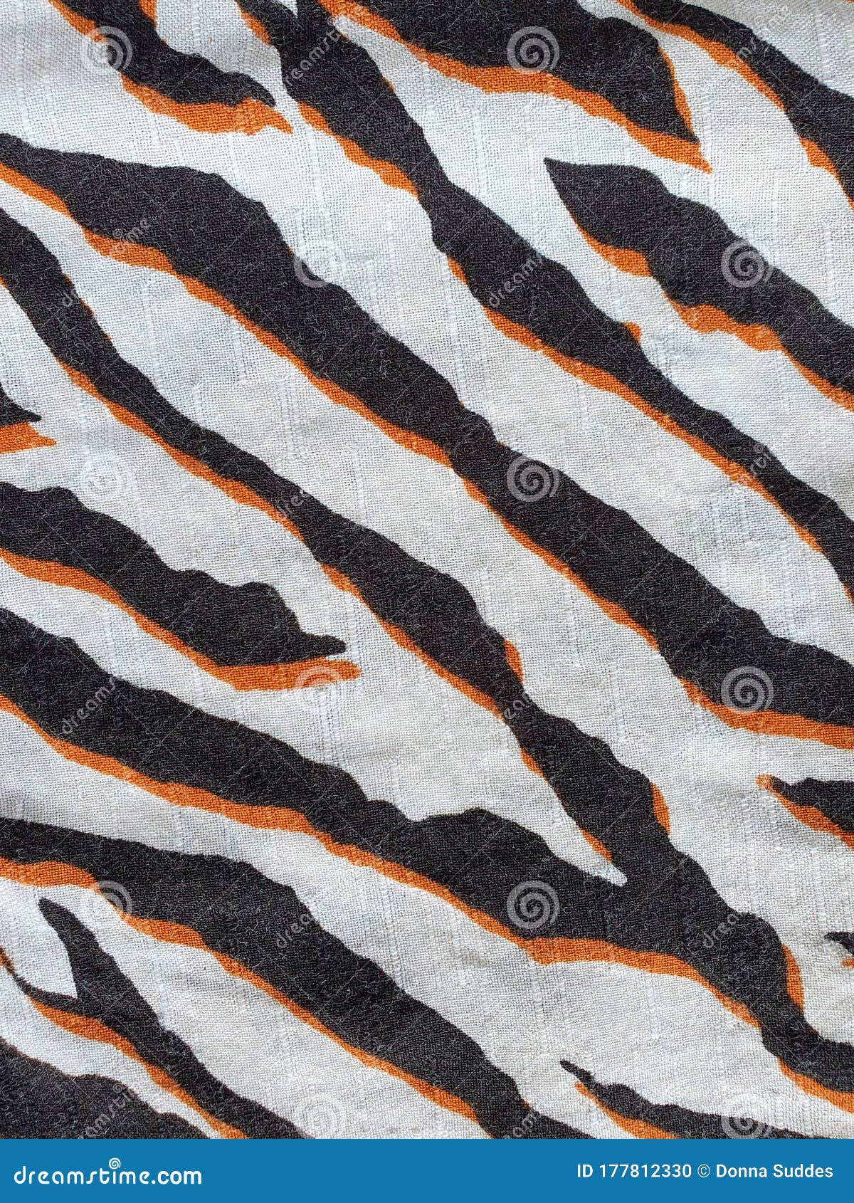 Tiger Print on Material stock photo. Image of skin, orange - 177812330