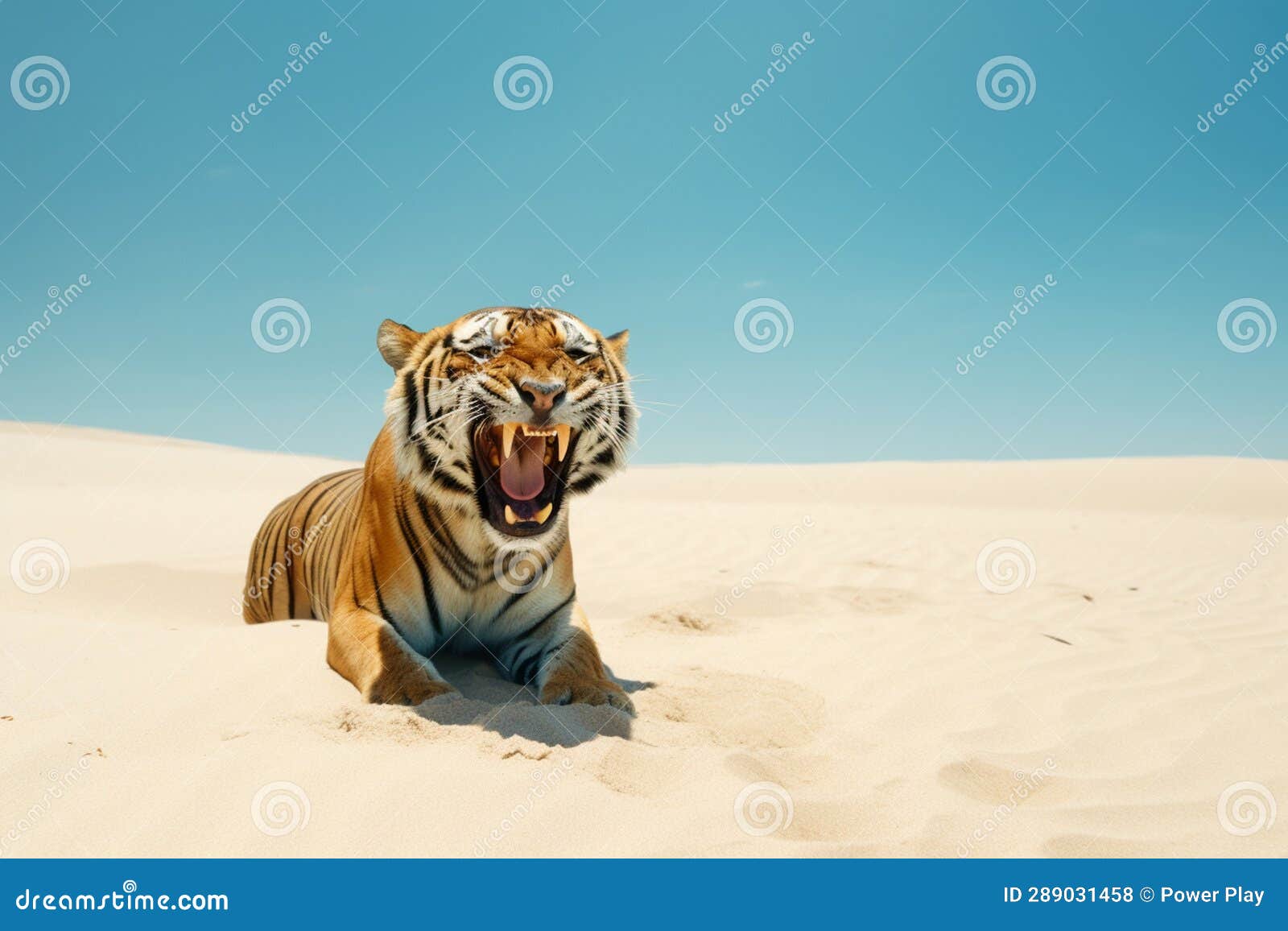 Tiger Resting on the Beach Nature View Stock Illustration ...