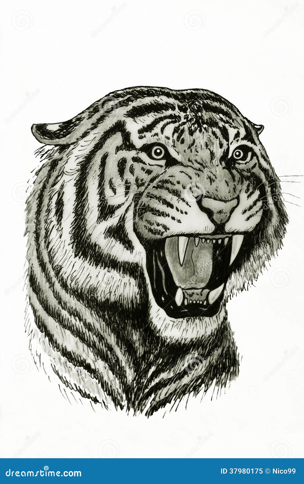 TIGER ROAR HEAD MASCOT LOGO Vector Illustration | CartoonDealer.com ...