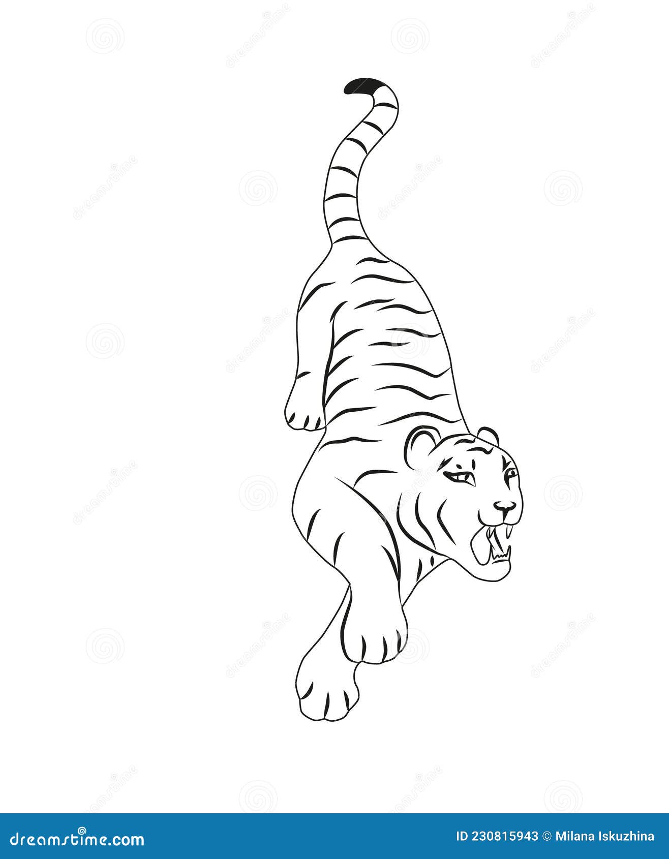 Tiger Runs from Top To Bottom and To the Right. Hand Drawing Tiger ...