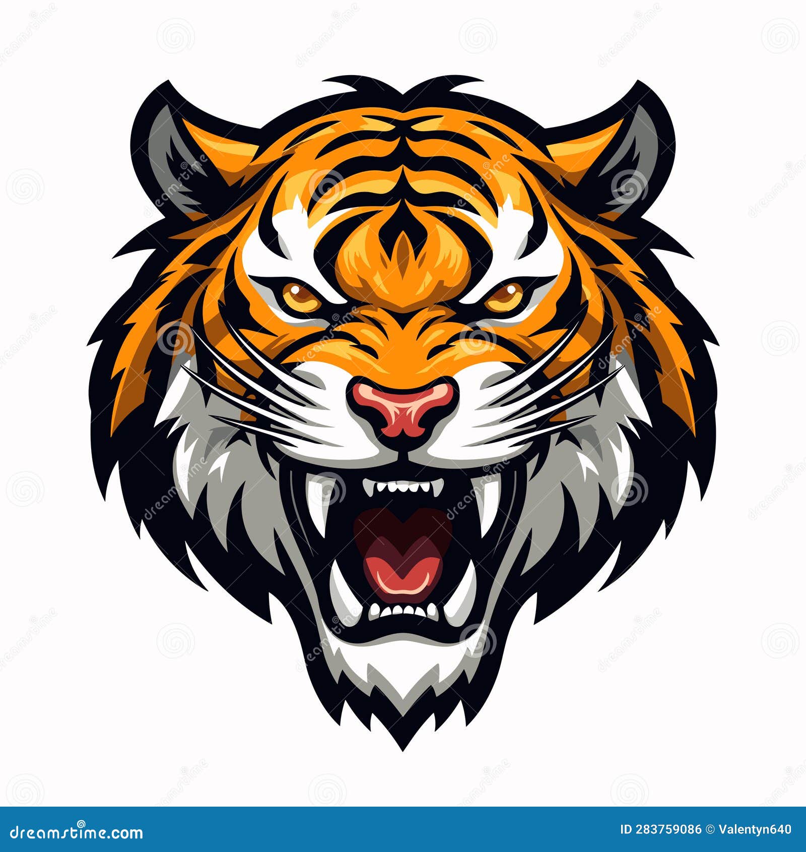 Tiger S Head with Open Mouth and Sharp Teeth on White Background Stock ...
