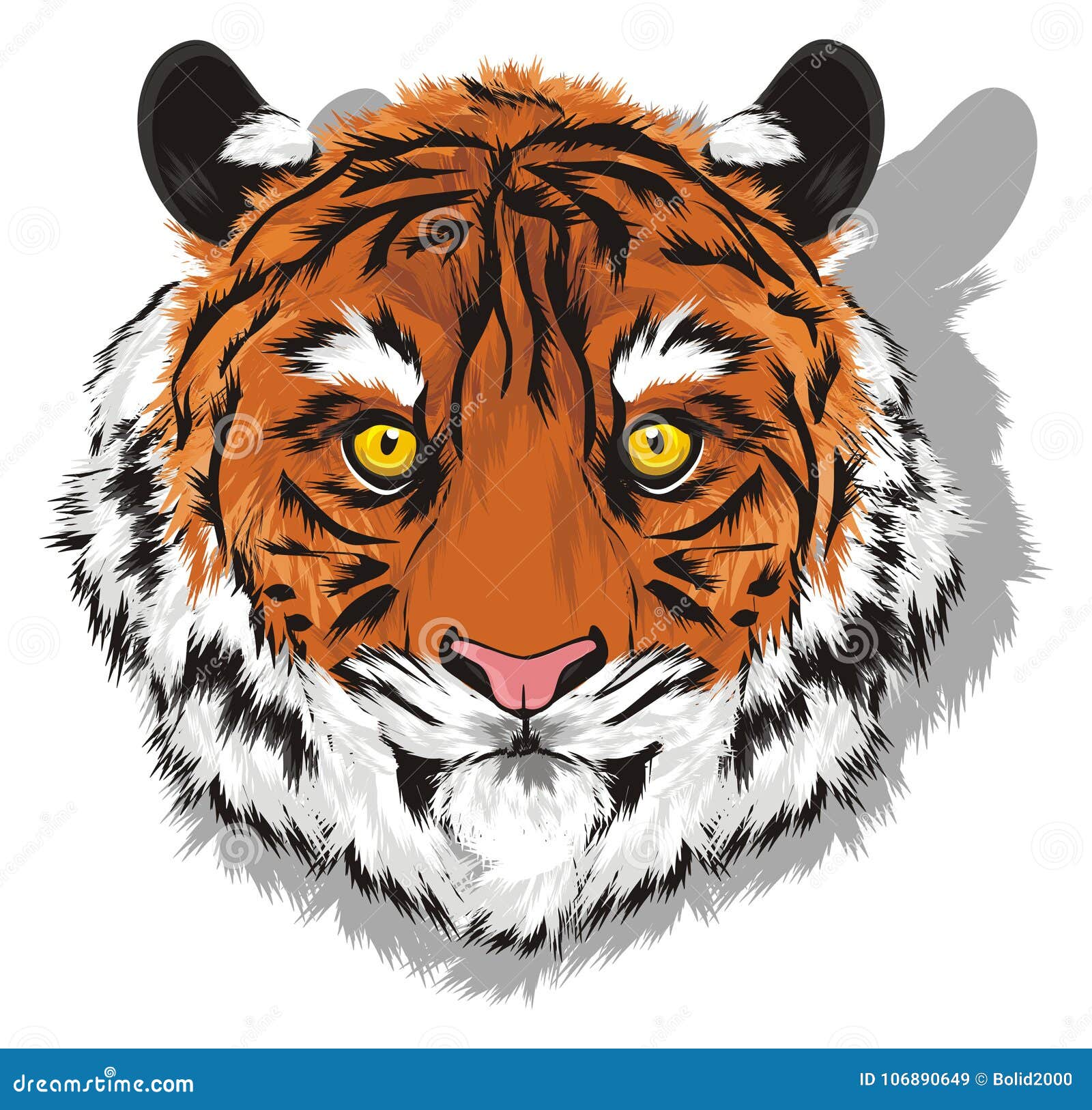 Tiger and shadow stock illustration. Illustration of shadow - 106890649