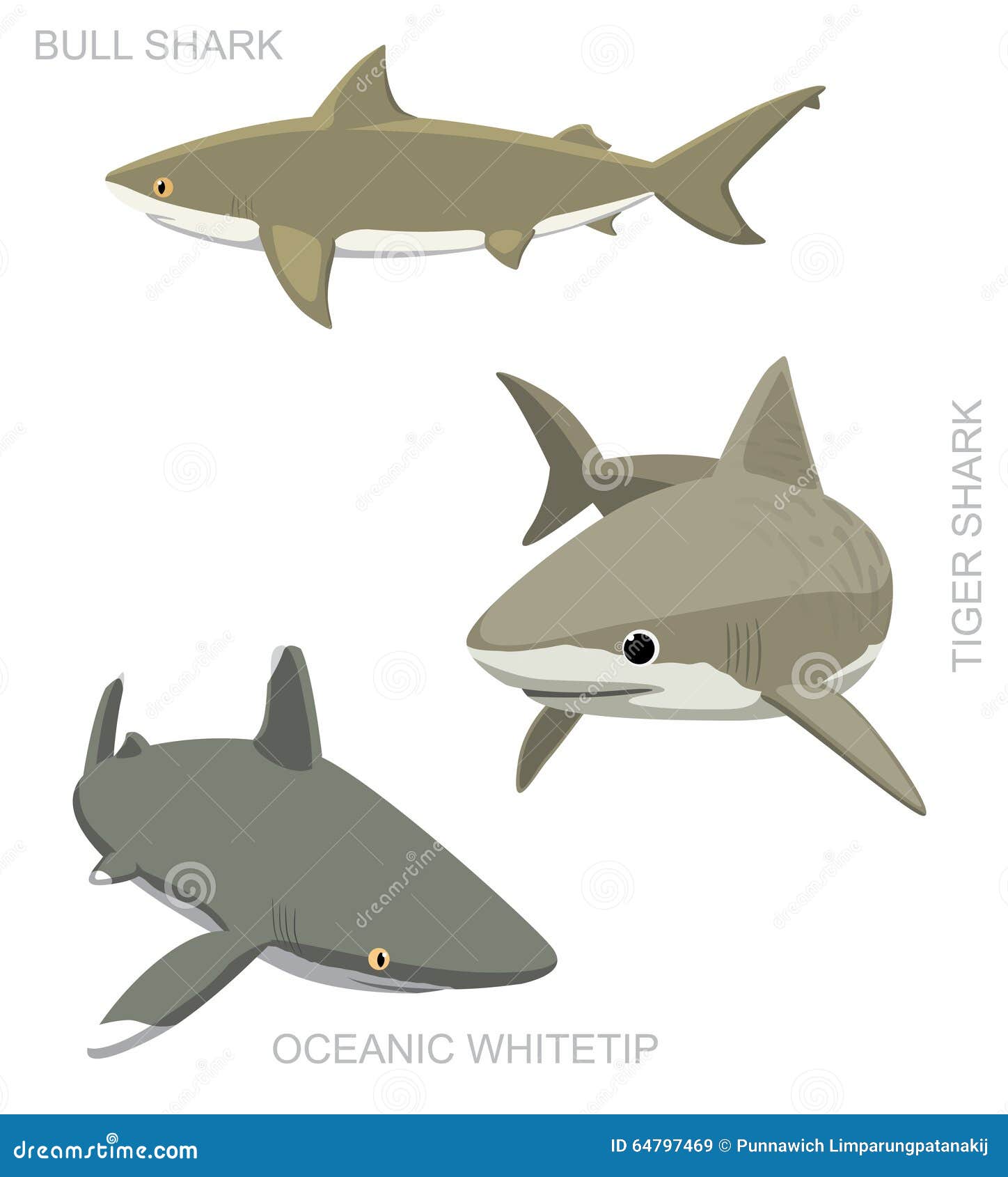 Tiger Shark Set Cartoon Vector Illustration Stock Vector - Illustration ...