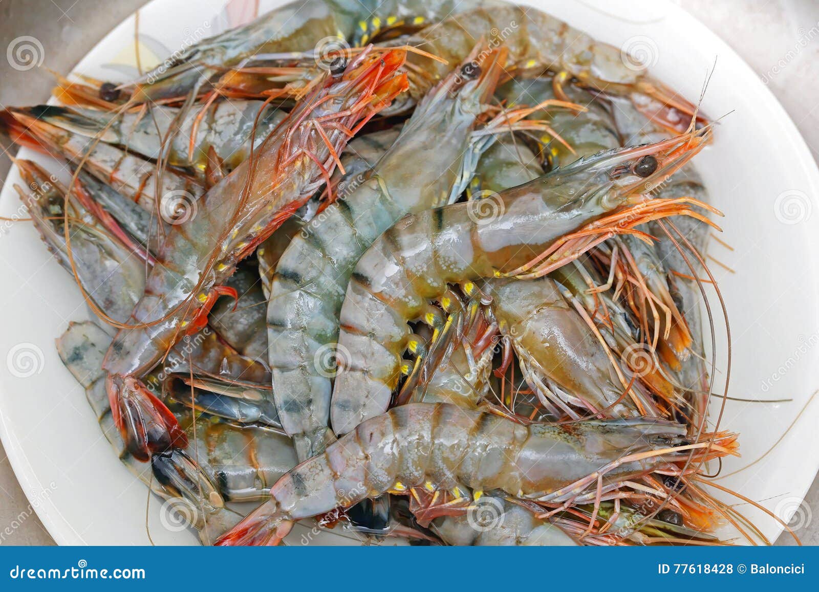 Tiger Shrimp stock photo. Image of prawn, seafood, caridea - 77618428