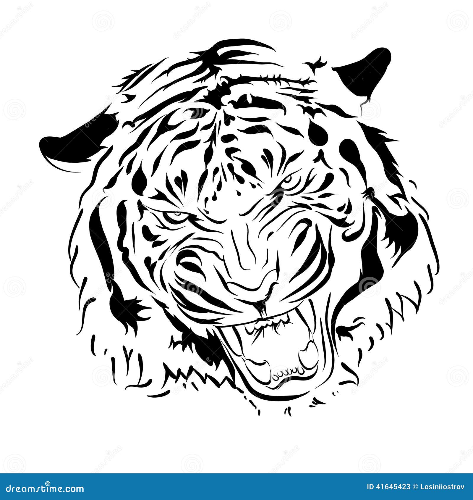 The Grin Of A Tiger. Angry Tiger Face. Detailed Drawing Of A Tiger. The ...