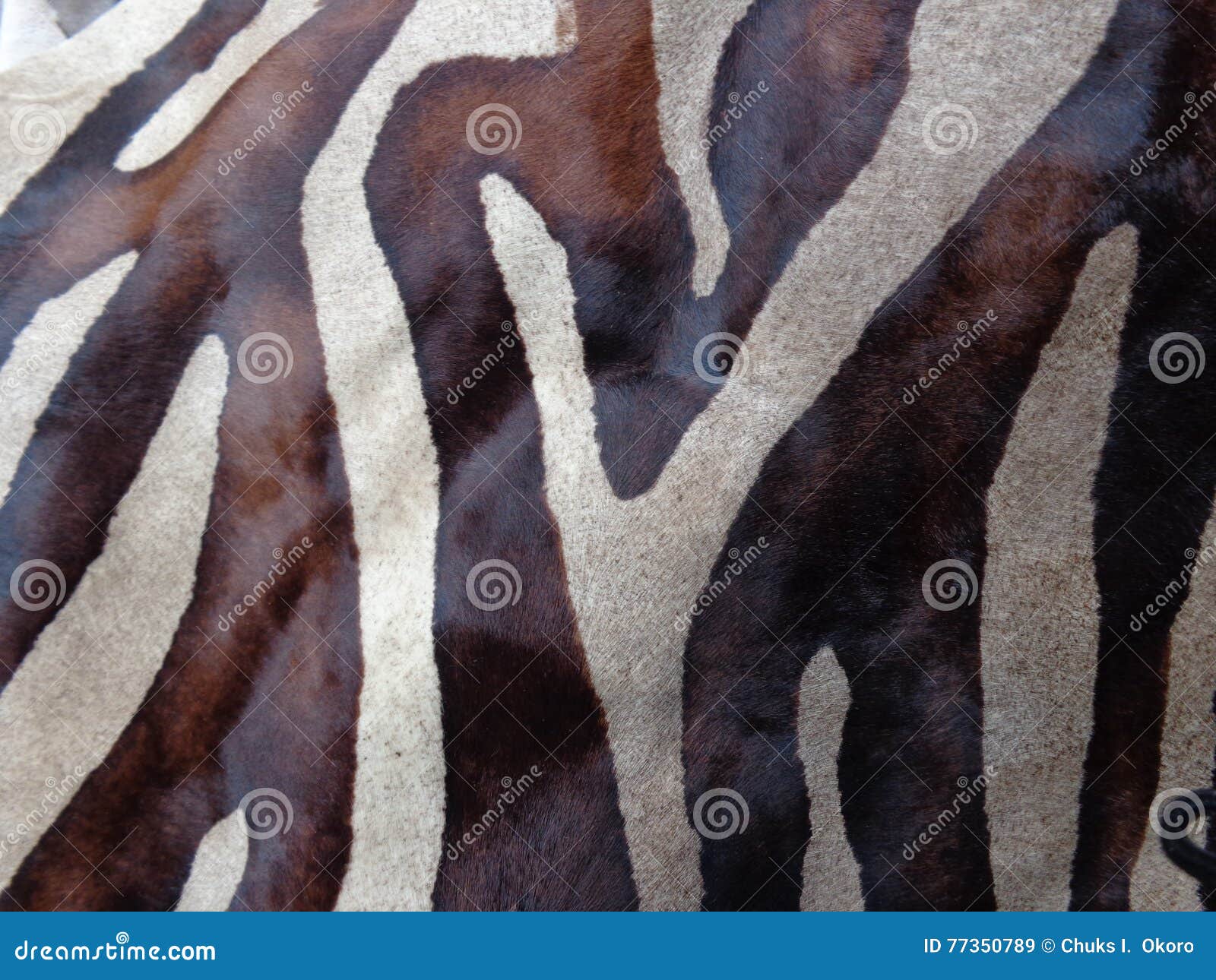 Tiger skin pattern stock image. Image of grevys, skin - 77350789