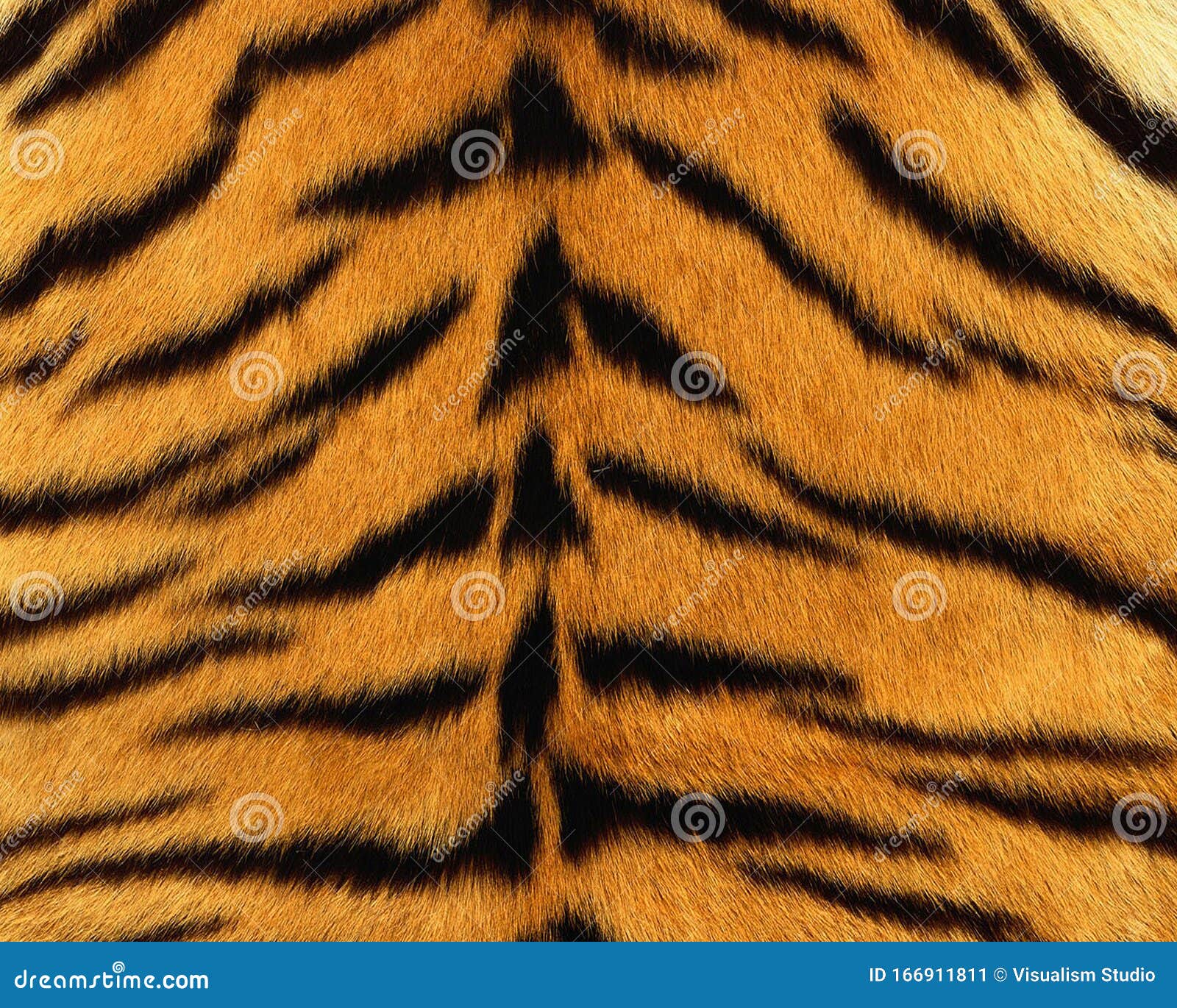 Tiger Skin Pattern Texture Repeating Monochrome Texture Animal Prints ...