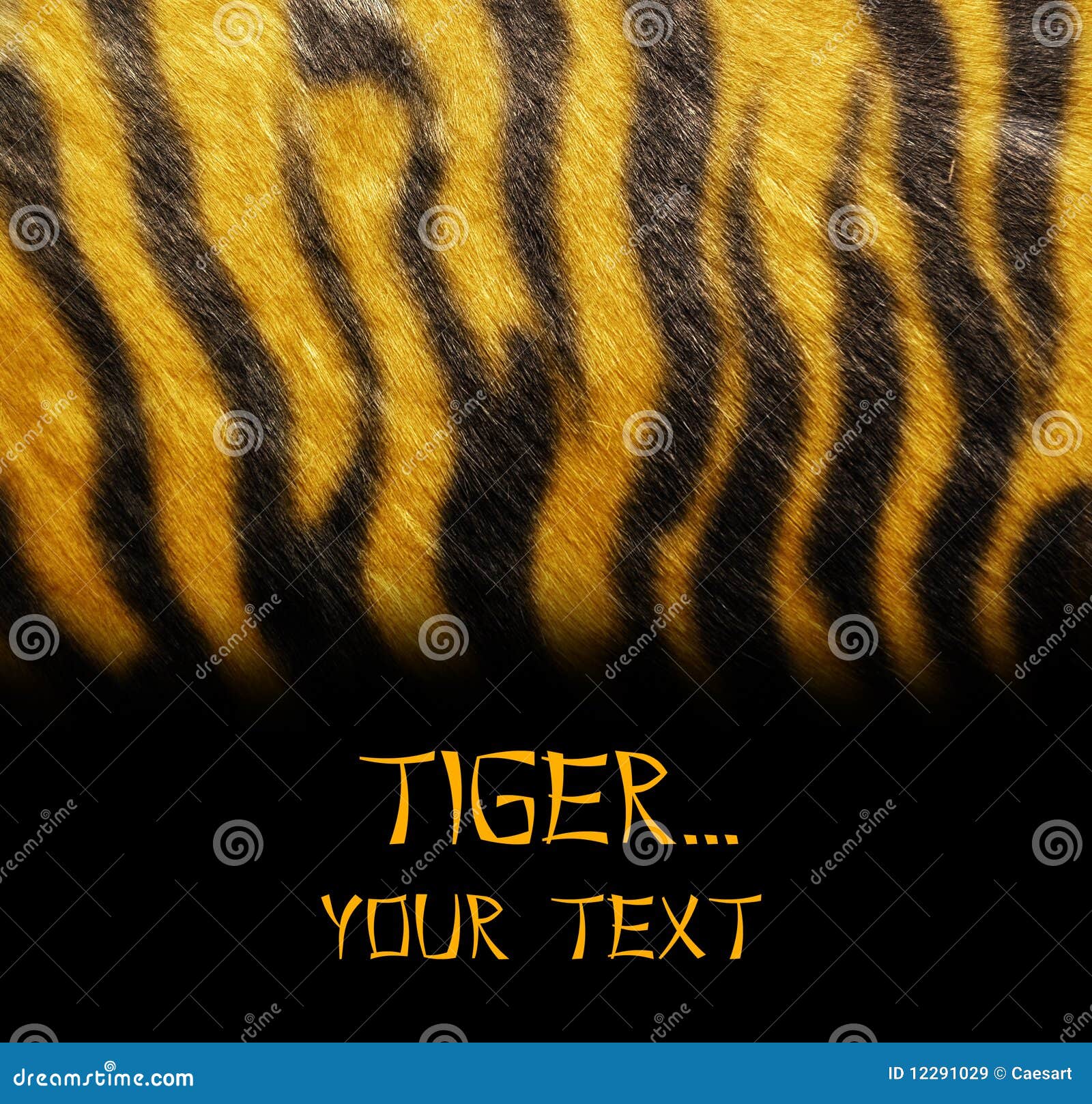 Tiger skin template stock image. Image of print, orange - 12291029