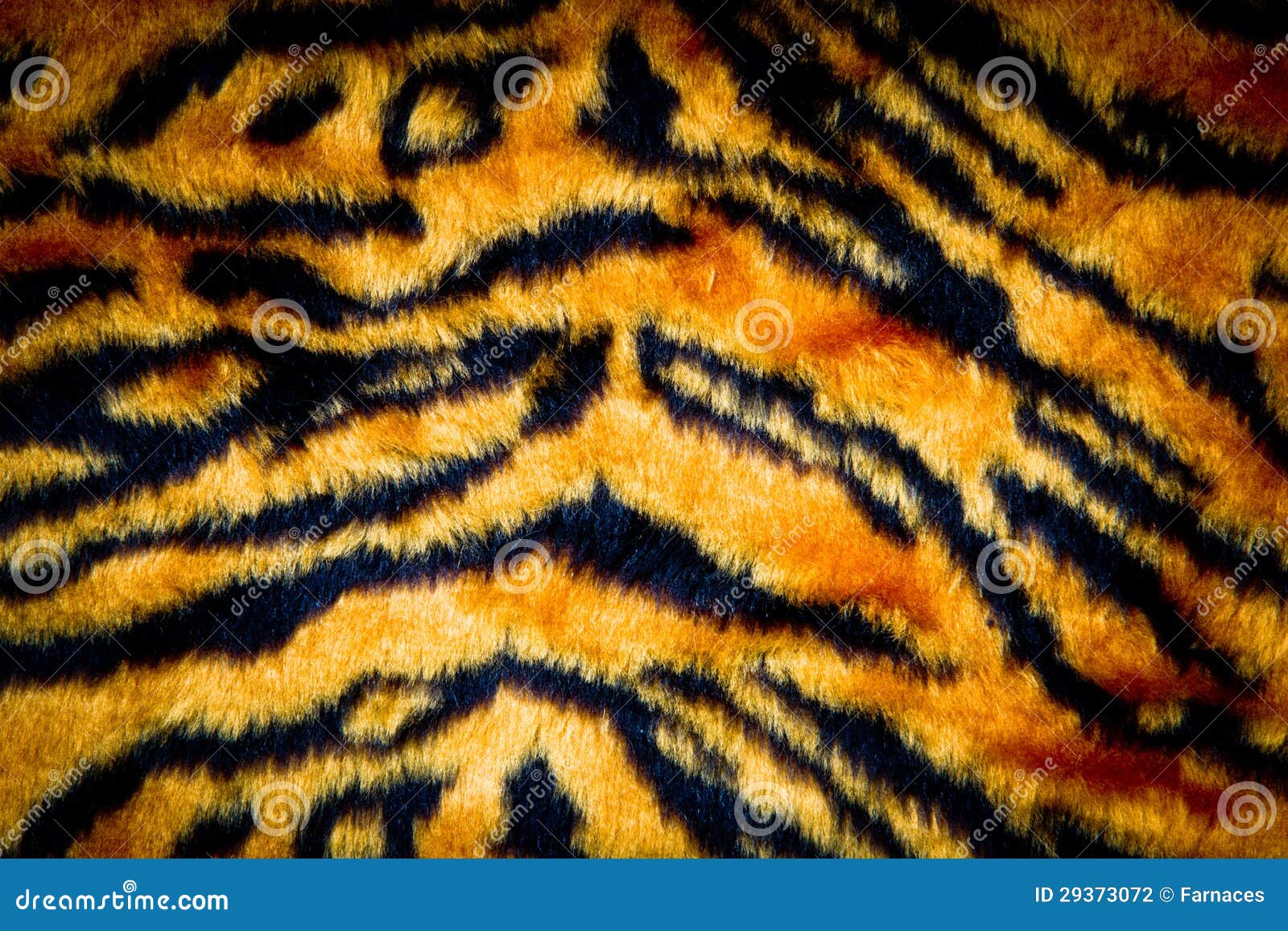Tiger skin texture stock photo. Image of stylish, exotic - 29373072