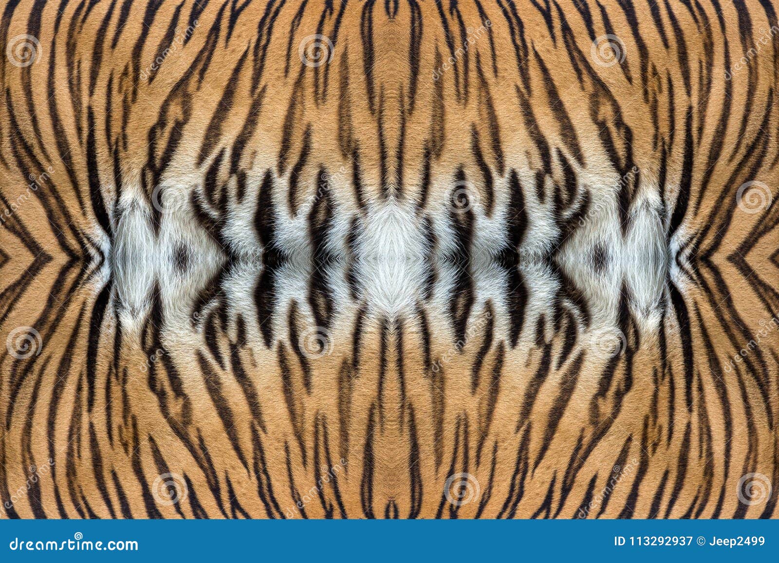Tiger skin texture. stock image. Image of siberian, wild - 113292937
