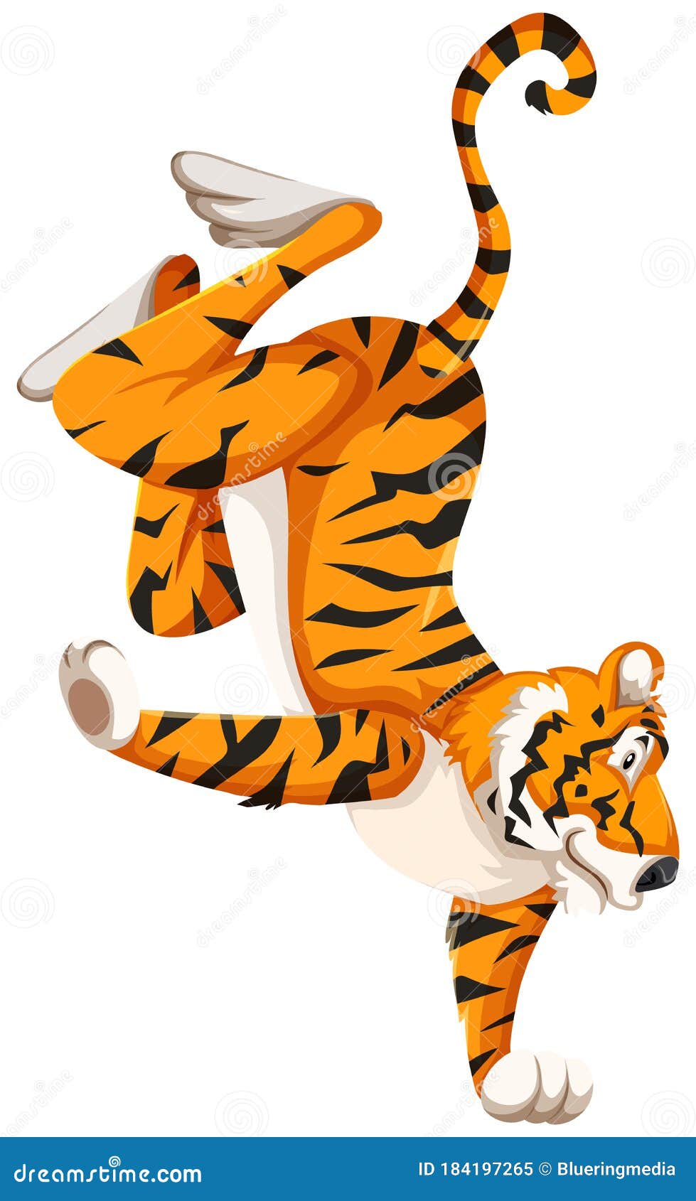 Tiger Standing In Dub Dancing Pose, Cute Cartoon Wild Animal Doing ...