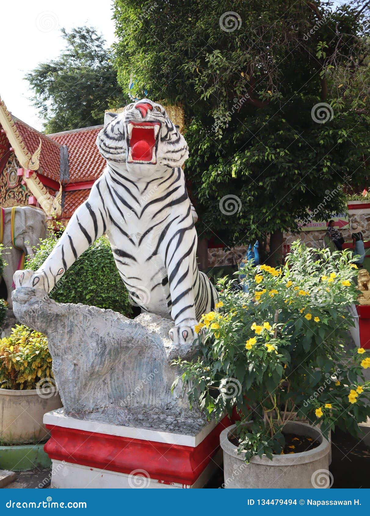 Tiger Statue Stock Photos - Download 2,469 Images