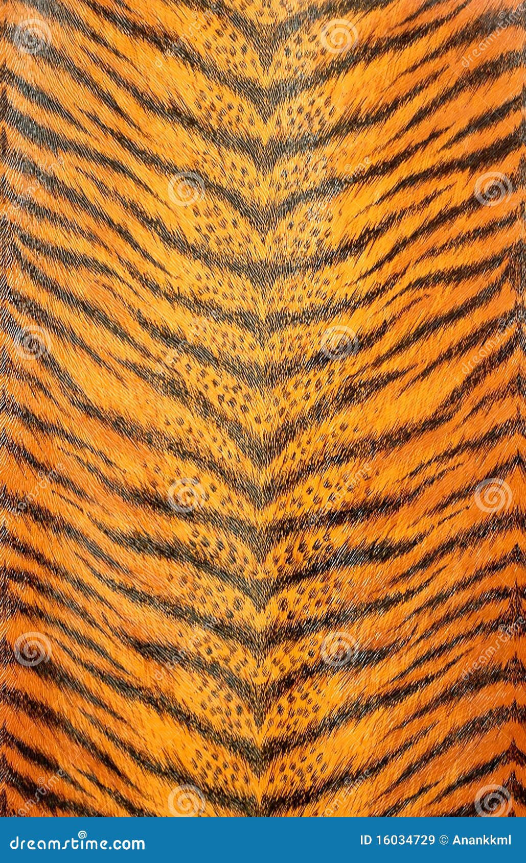 Striped Tie Dye Pattern Abstract Background. Stock Photography ...