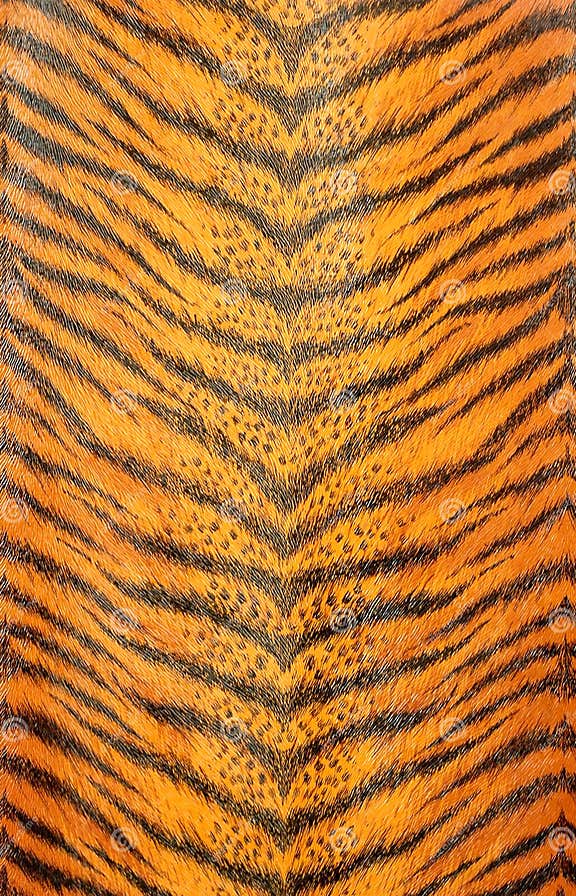 Tiger striped pattern stock image. Image of print, material - 16034729