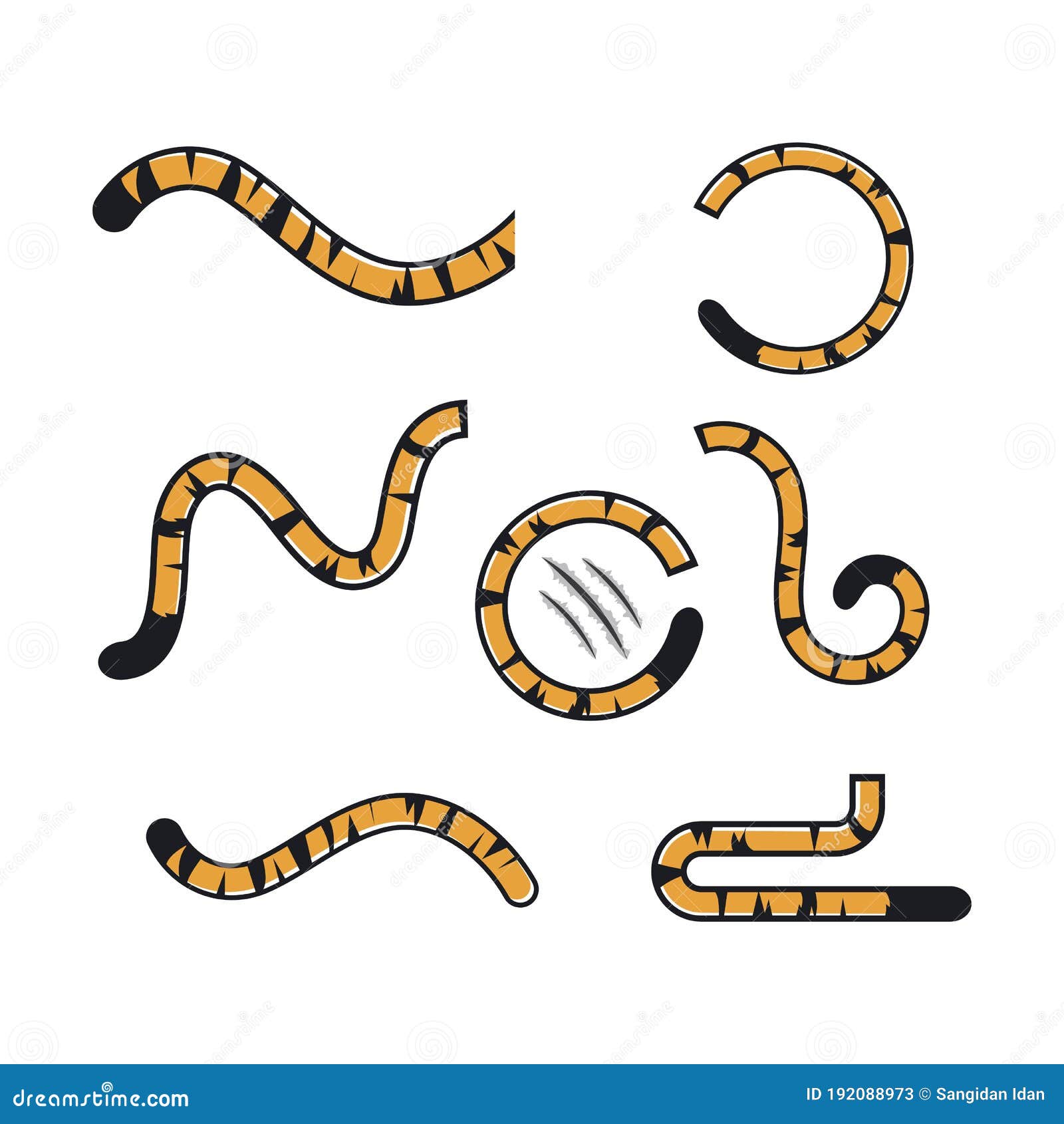 Tiger Tail Vector Illustration | CartoonDealer.com #56578908