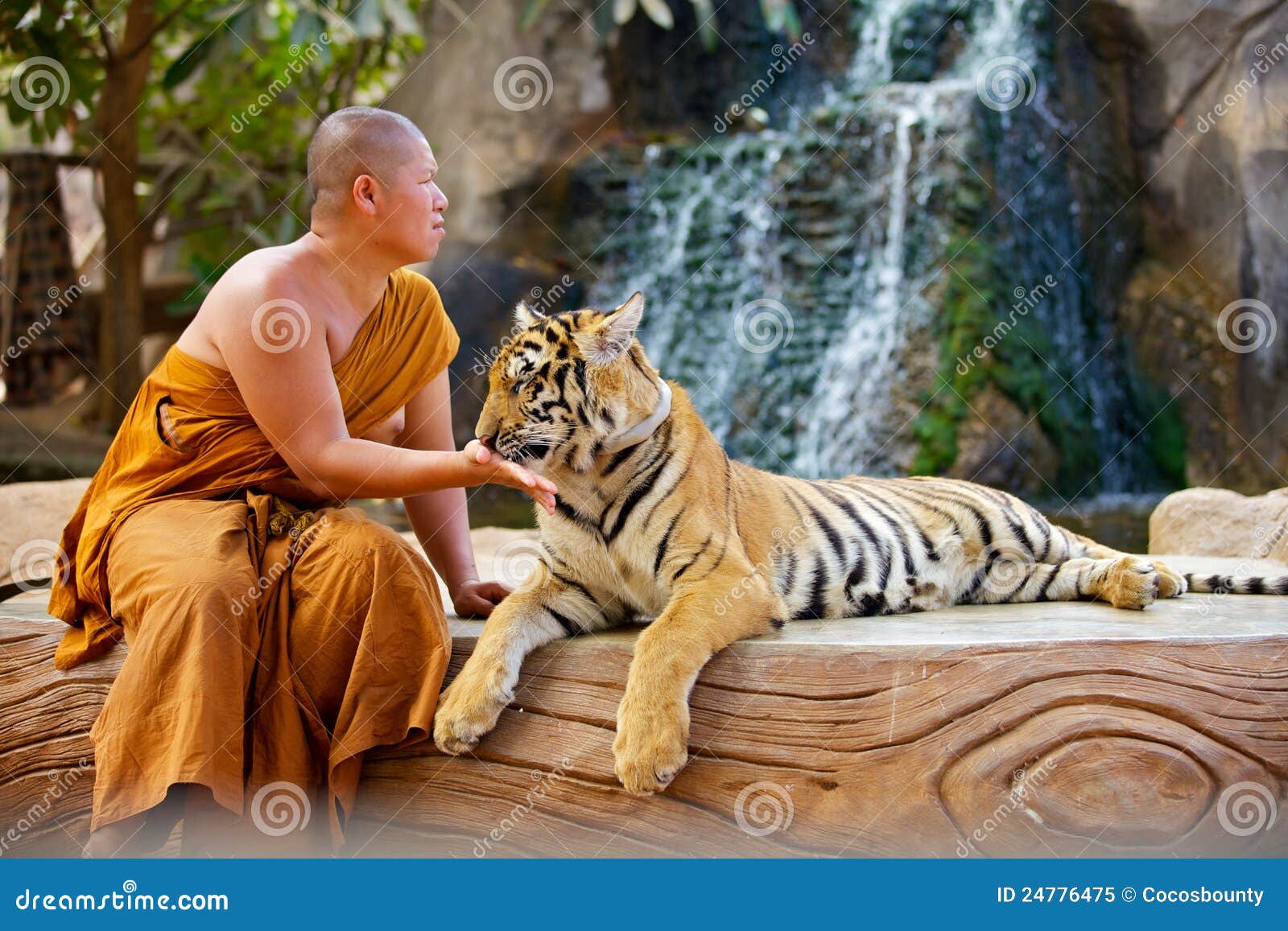 Tiger And Human Faced-sun Mosaics On The Wall Of The Sher- Dor Madrasah ...