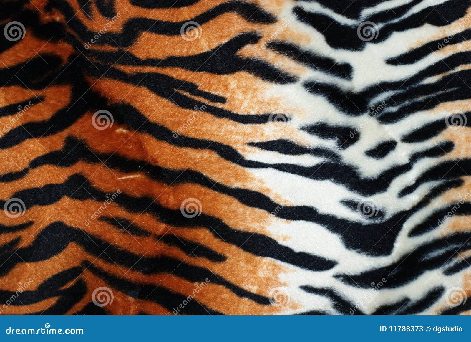 Fissure stock image. Image of idea, basis, african, safari - 11788373