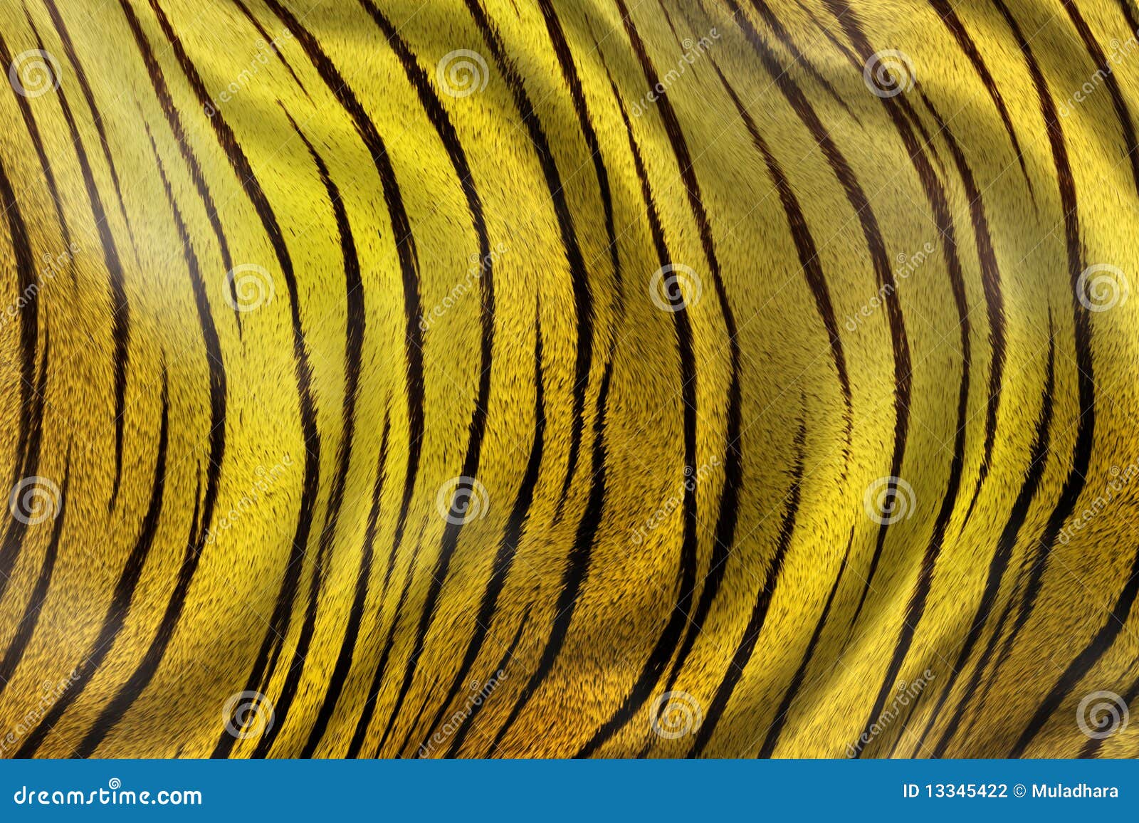 Tiger Texture Stock Photography | CartoonDealer.com #11758796