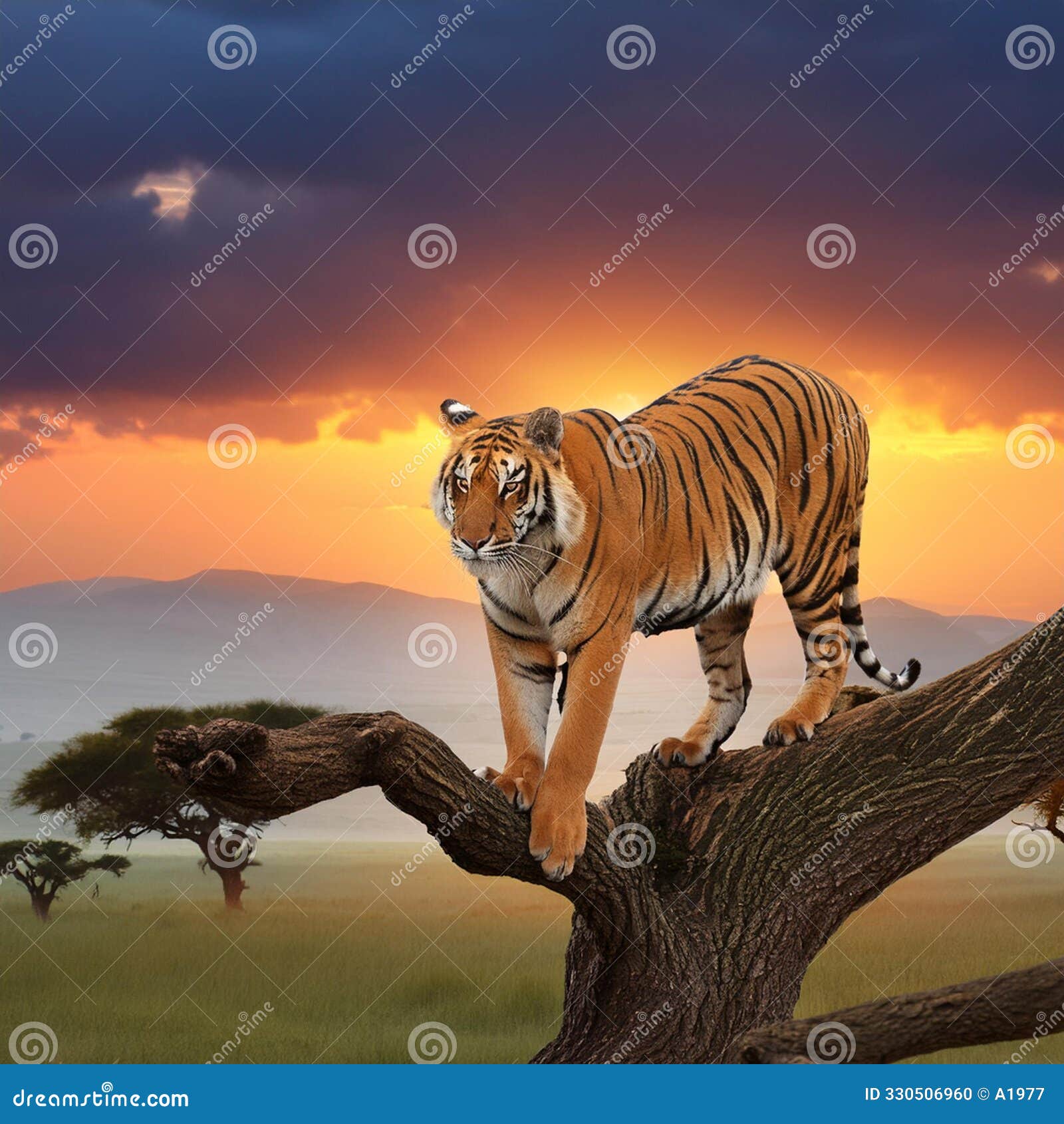Tiger on a Tree, AI Generated Stock Illustration - Illustration of ...