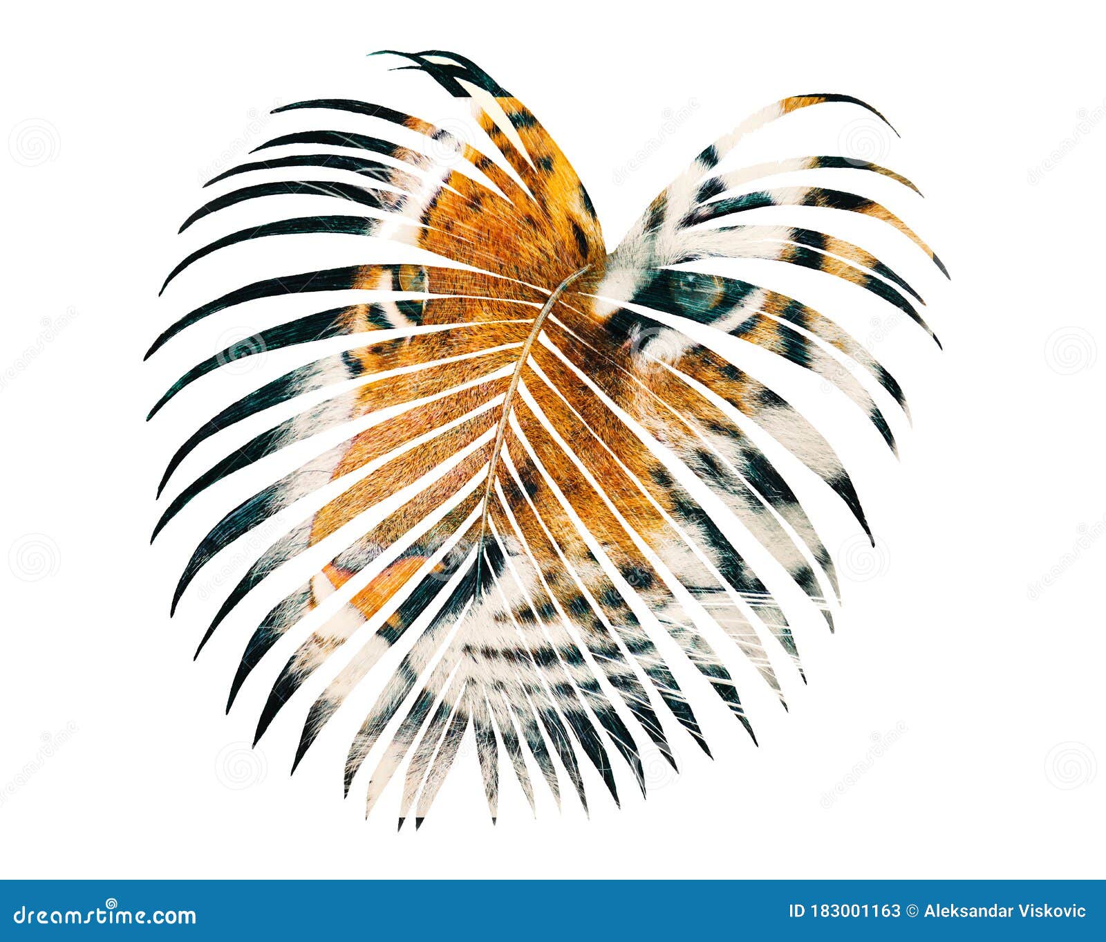 Tiger and Tropical Palm Leaf Double Exposure Stock Image - Image of ...