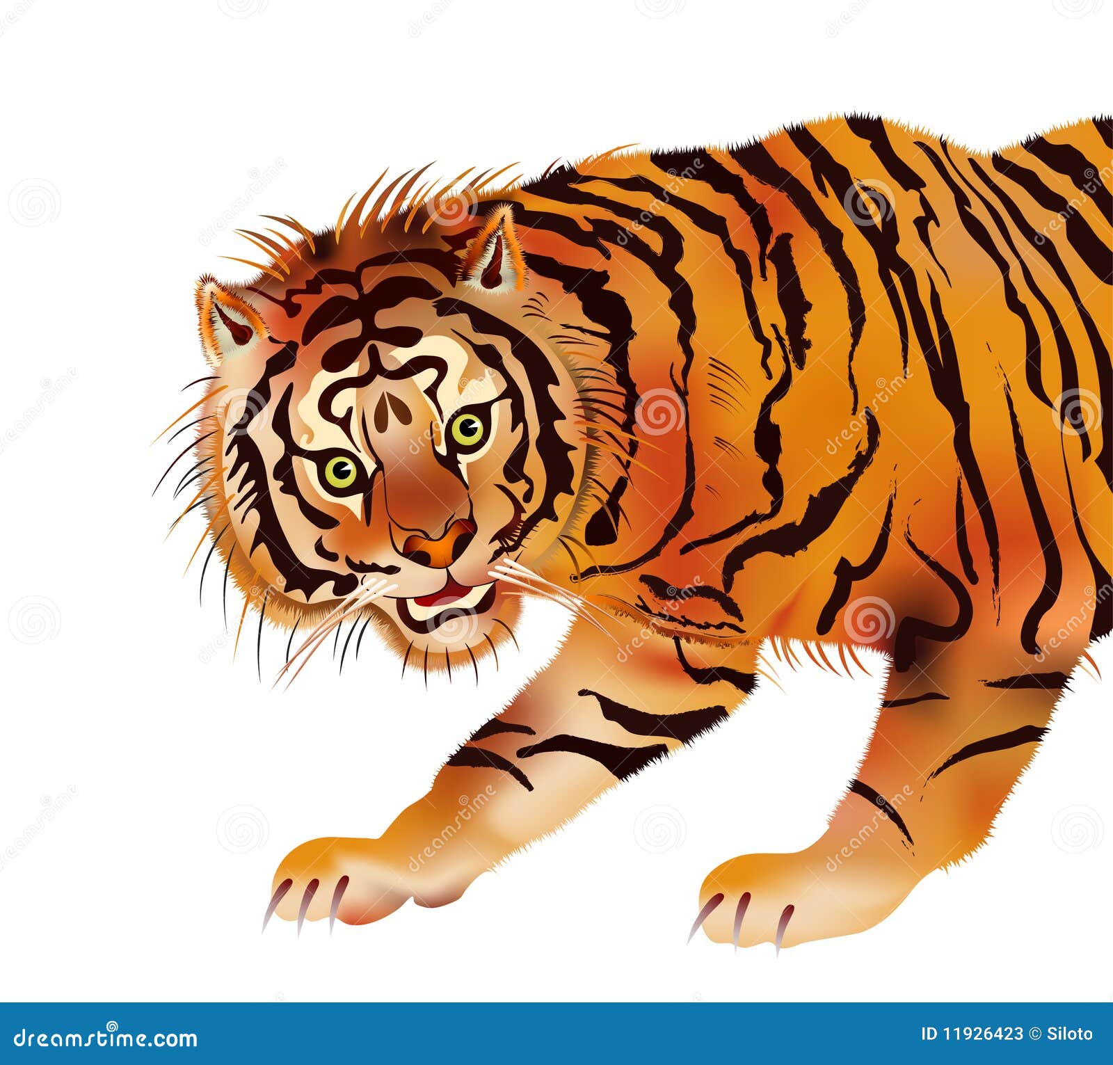 Tiger - vector stock vector. Illustration of wild, tiger - 11926423