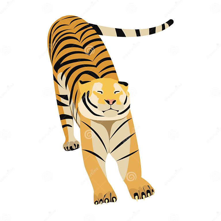Tiger Waking Up from the Sleep Stock Vector - Illustration of wildlife ...