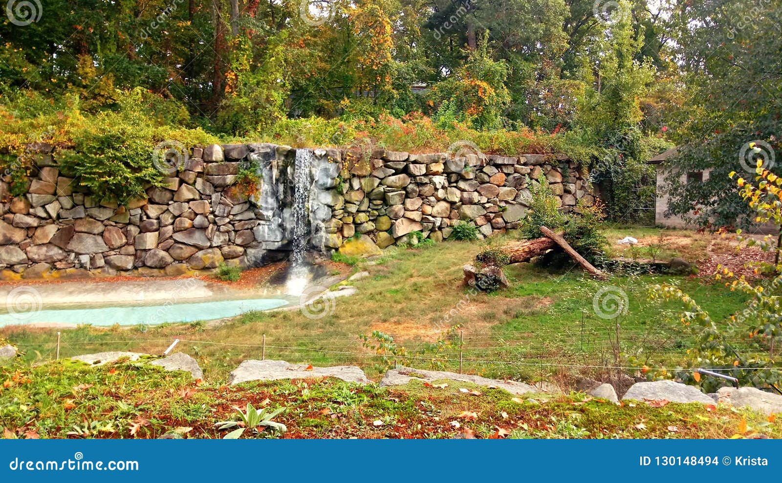 Tiger waterfall stock photo. Image of tigers, beauty - 130148494