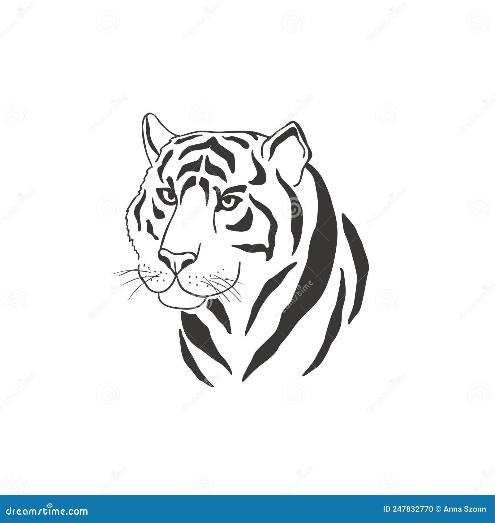 Tiger on White Background. Vector . Stock Vector - Illustration of ...