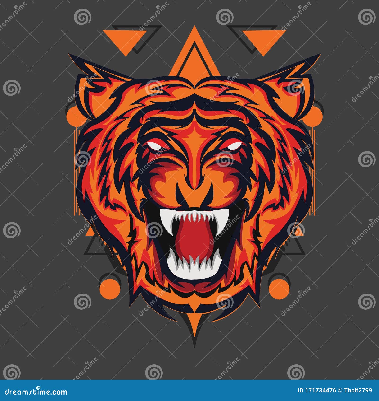 Tiger wild scared stock illustration. Illustration of concept - 171734476