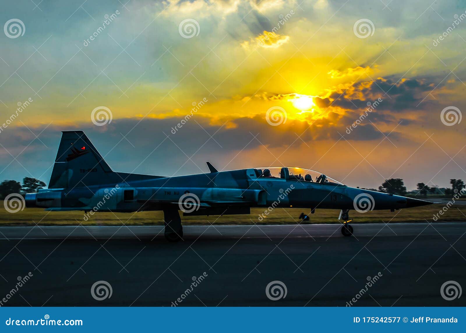 Tiger Will Never Be Forgotten Stock Image - Image of legend, f5tiger ...