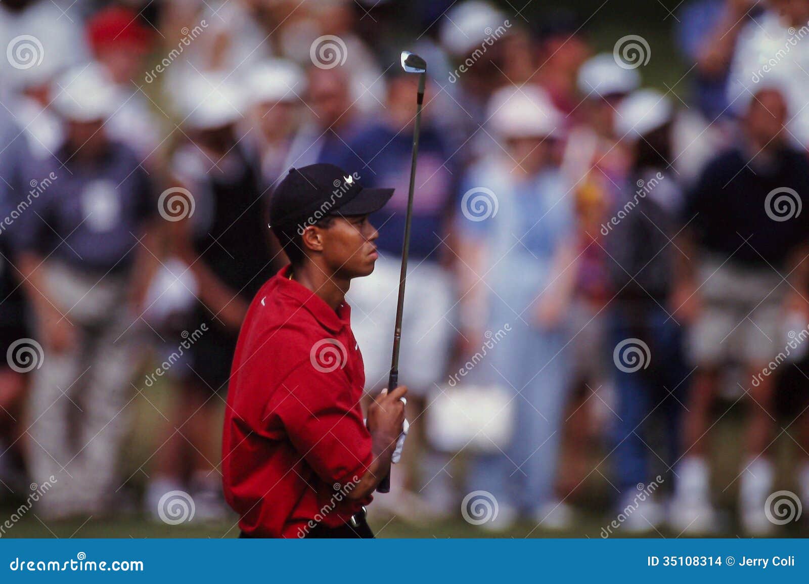 Tiger Woods Iron Shot imagem de stock editorial. Imagem de calma - 35108314