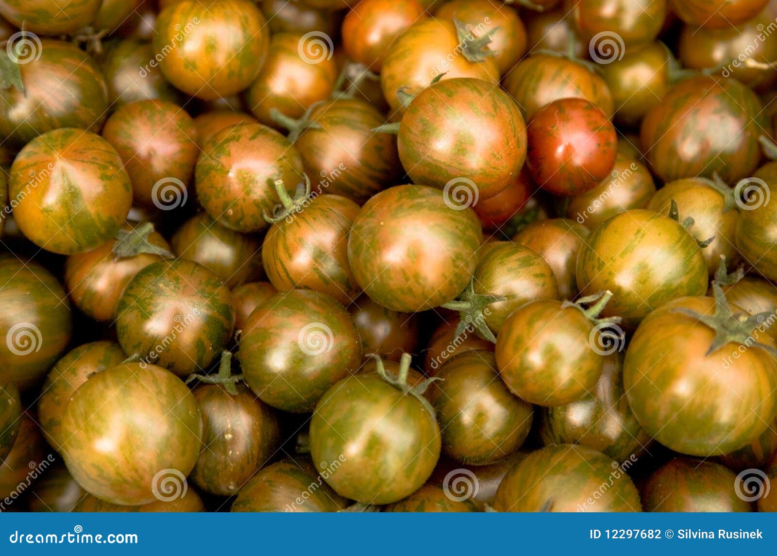 Tigerella tomatoes stock photo. Image of healthy, striped - 12297682