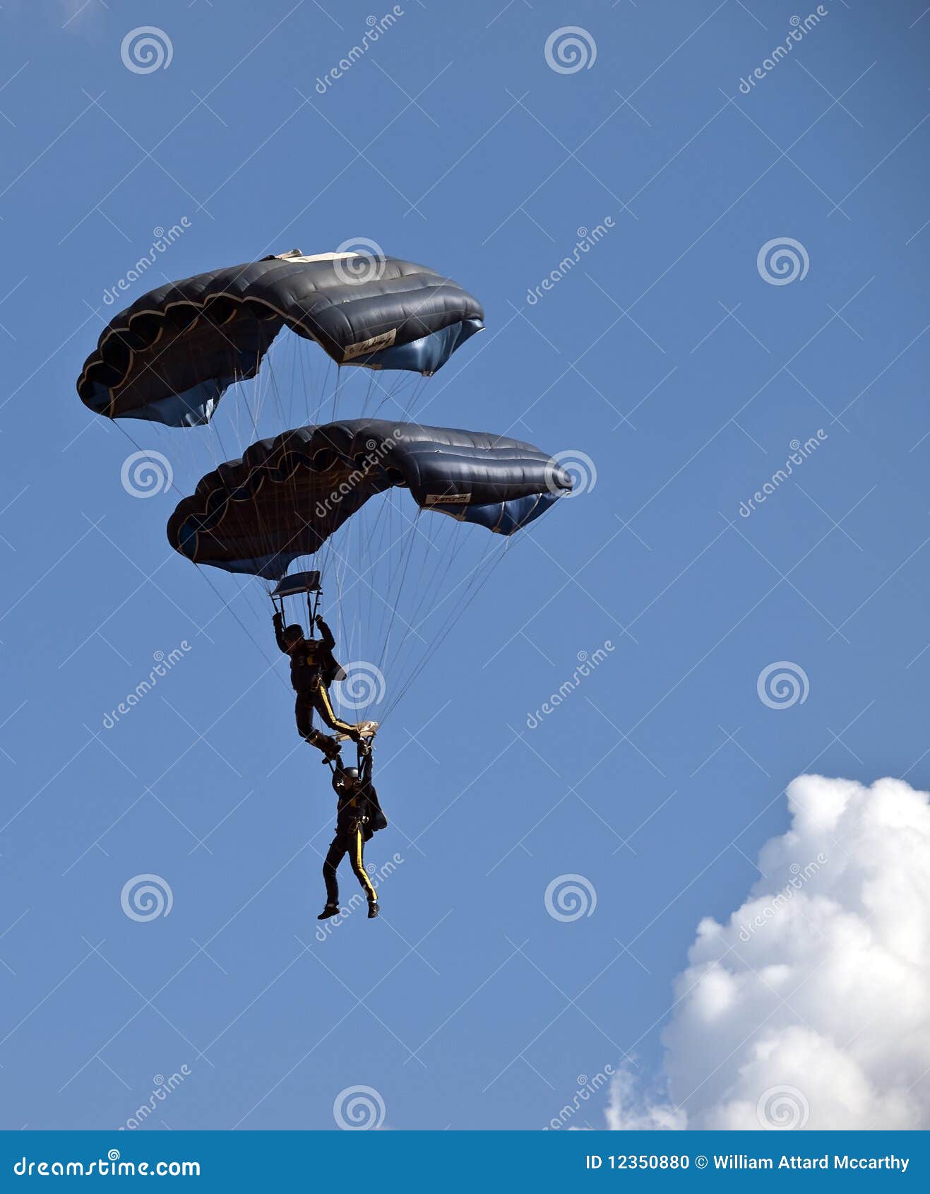 Tigers FreeFall Parachute Team Editorial Image - Image of chute ...
