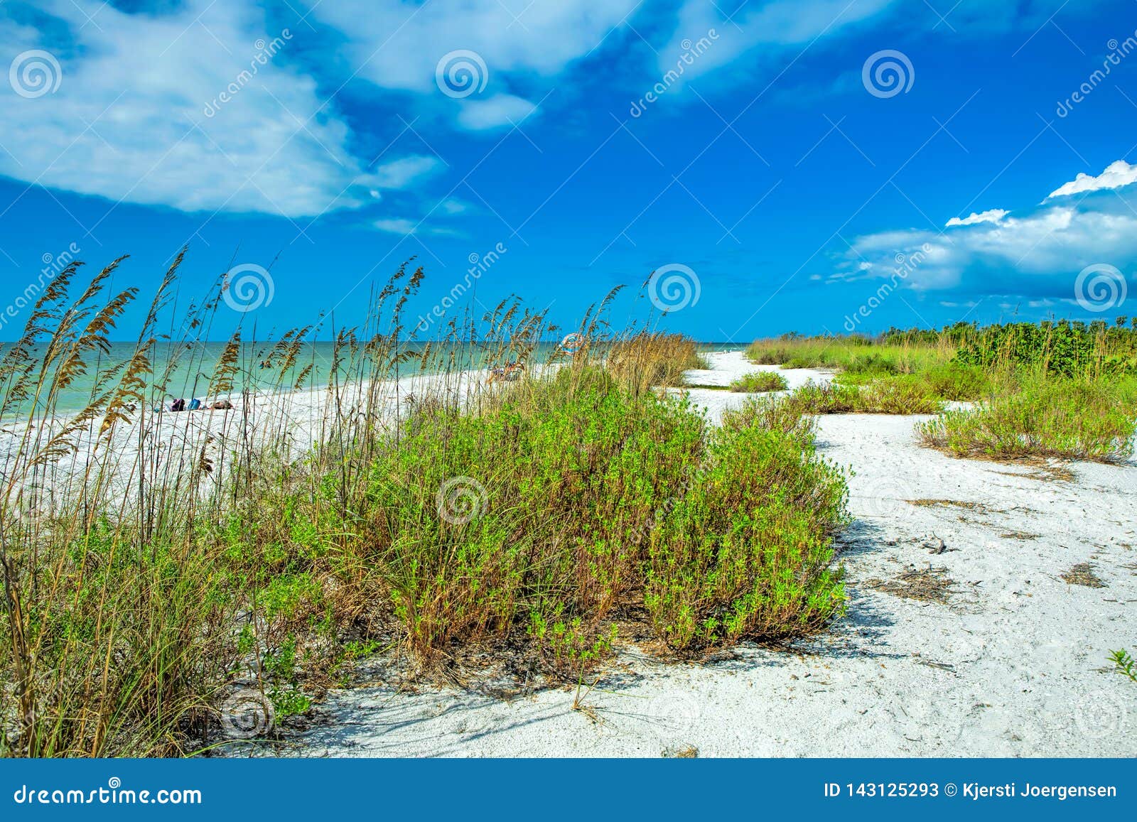 Tigertail Beach at Marco Island Stock Image - Image of outside, florida ...