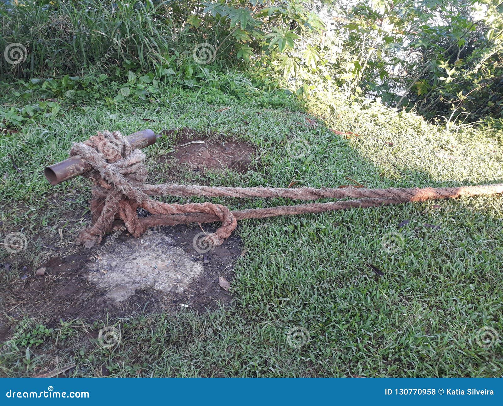 Rope with knot stock photo. Image of knot, nature, rope - 130770958