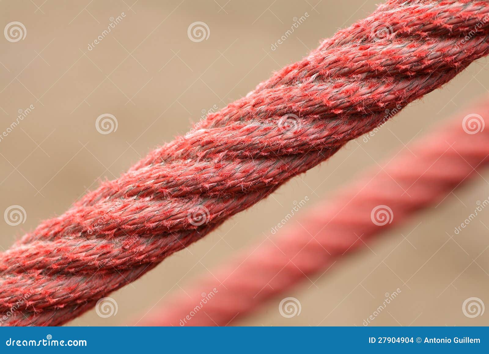 Tight red ropes stock photo. Image of diagonal, worn - 27904904