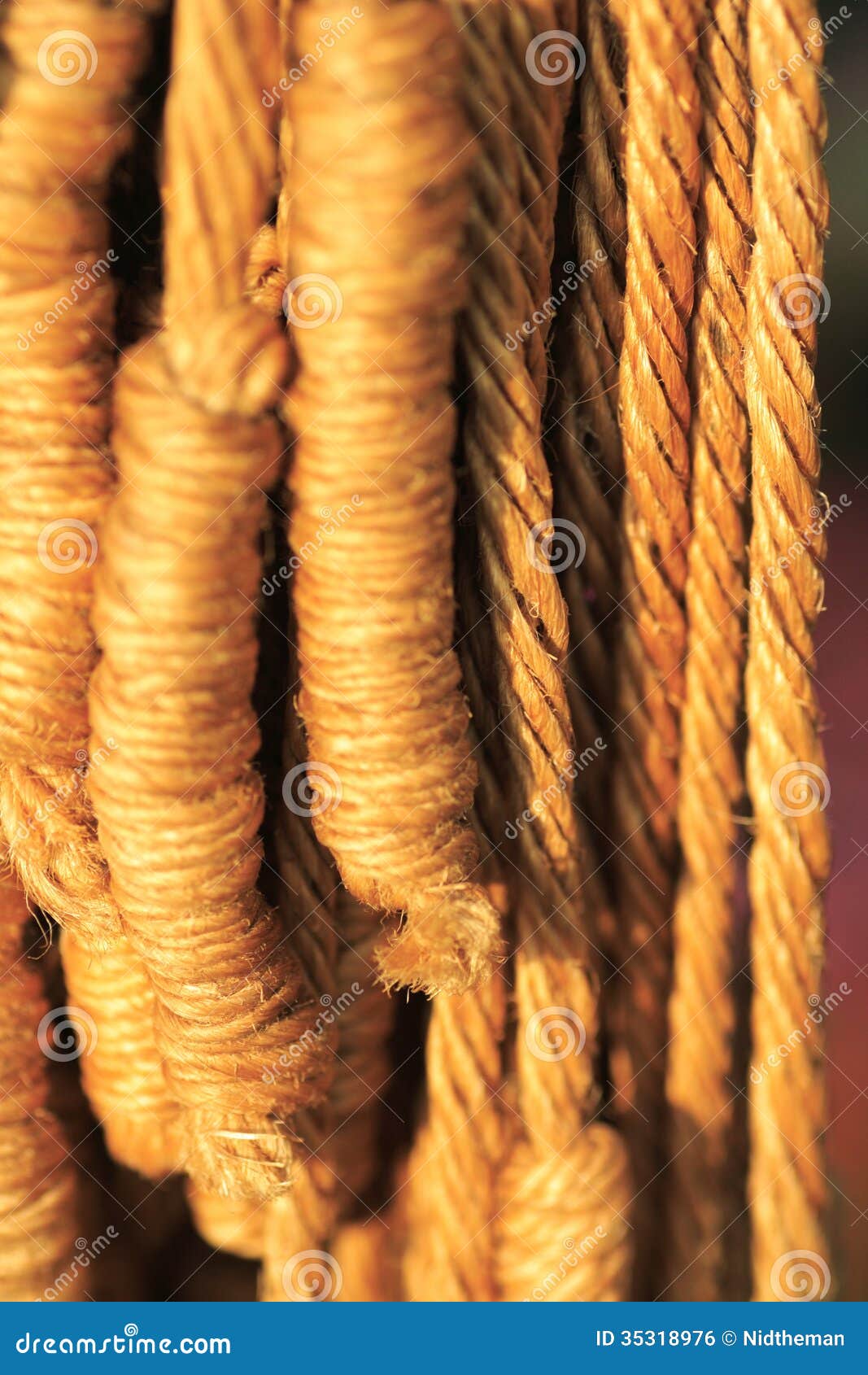 Tightly rope stock photo. Image of color, sticky, secure - 35318976