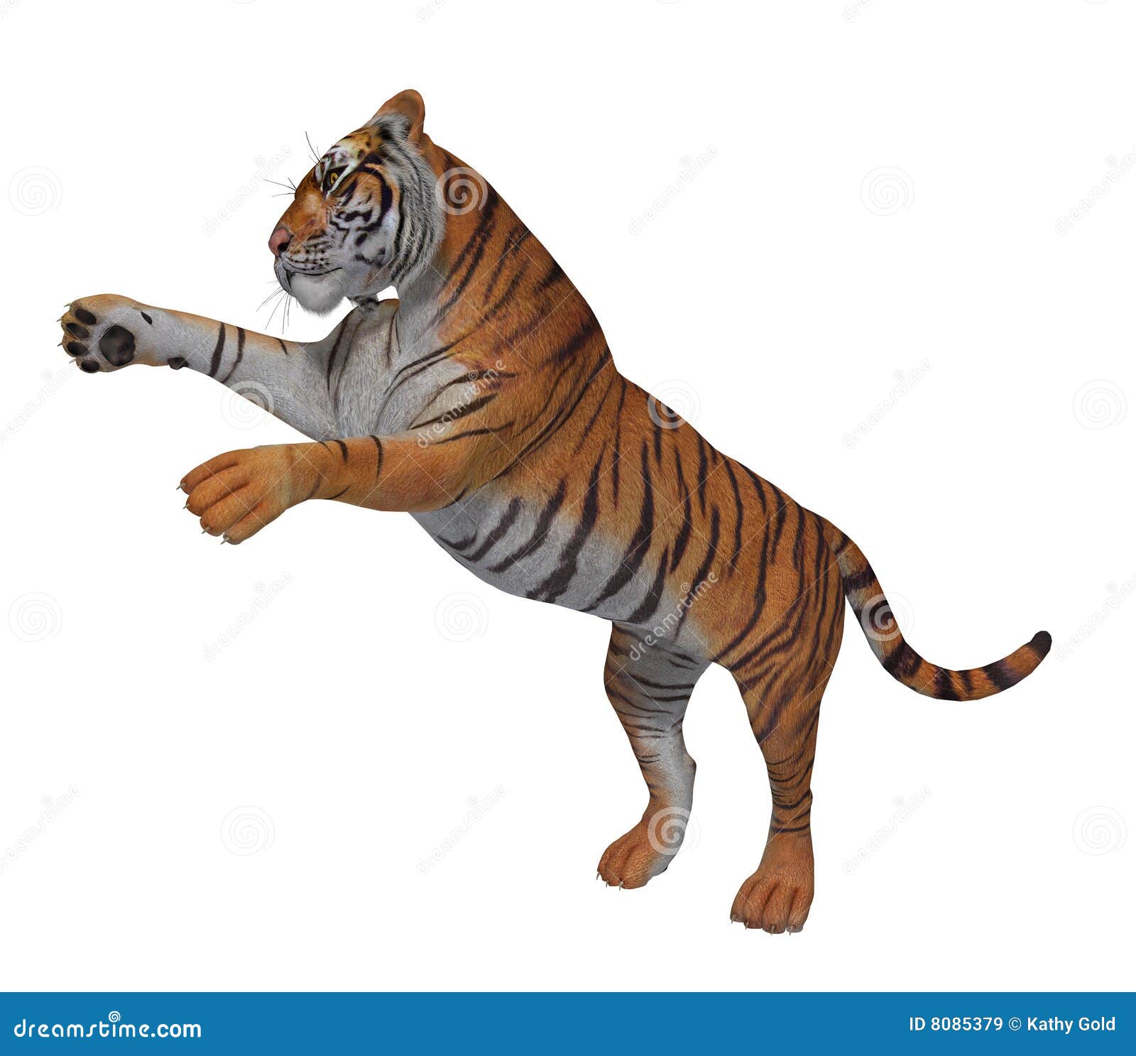 Tigre atacando ilustração stock. Ilustração de amarelo - 8085379