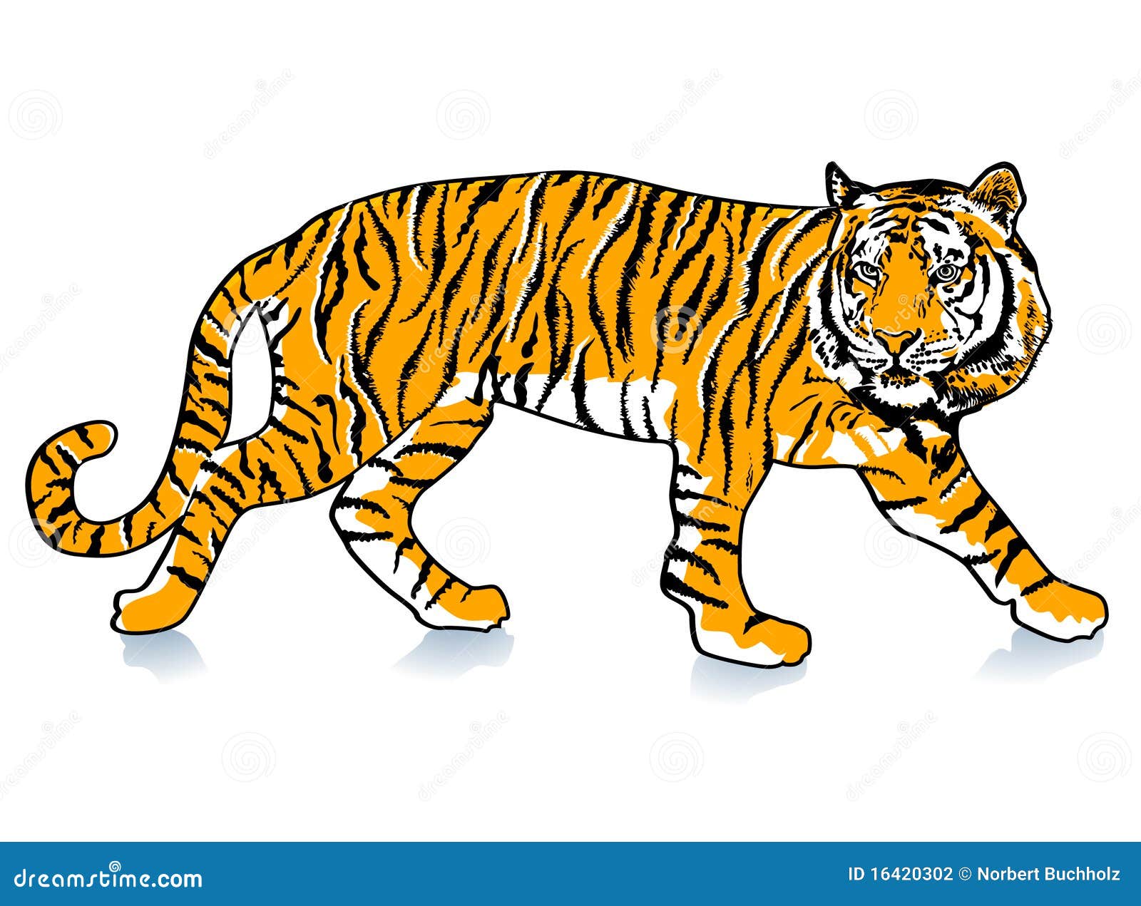 Tigre del chivato stock de ilustración. Ilustración de potencia - 16420302