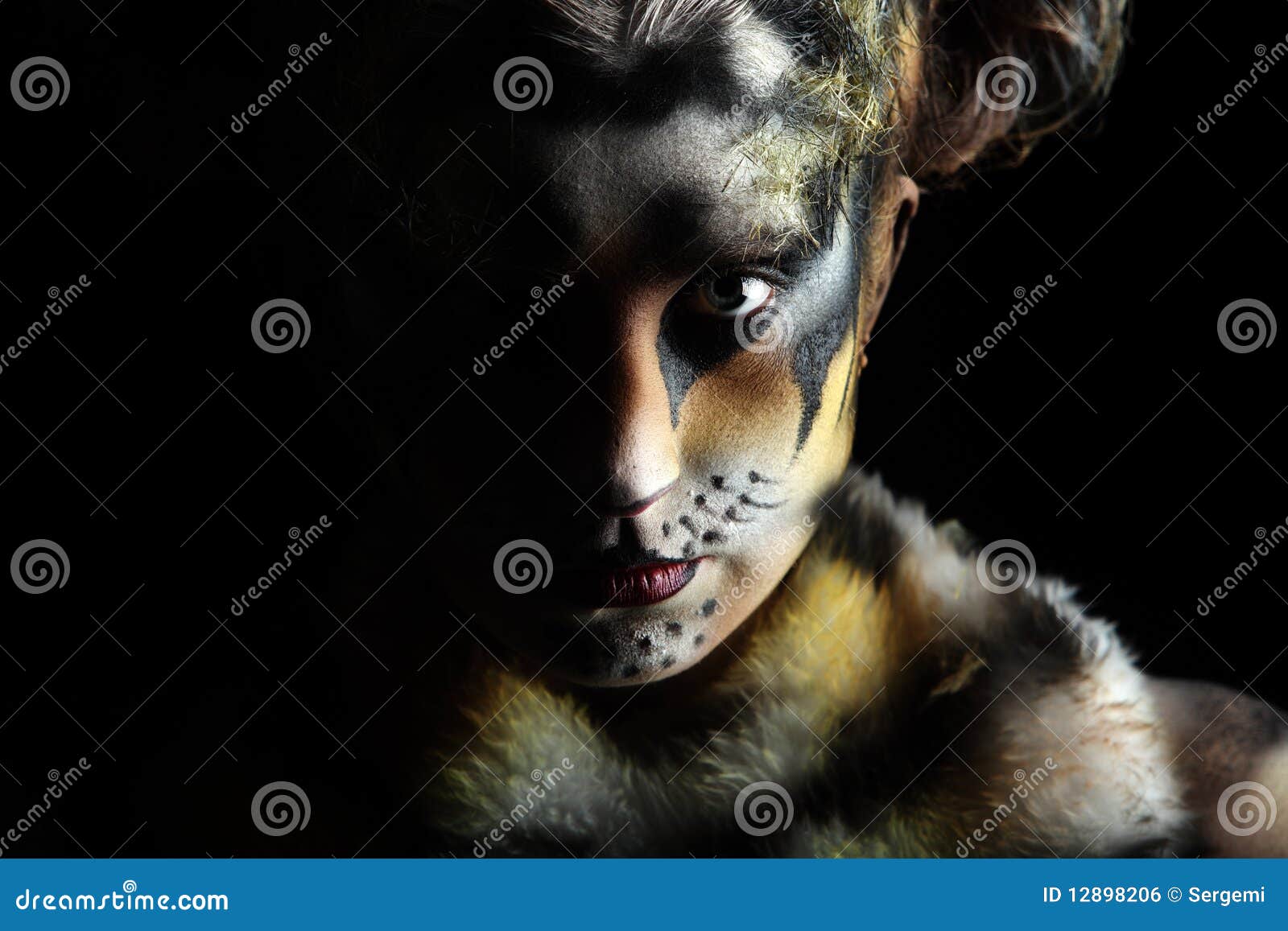 Tigress in the darkness stock photo. Image of face, young - 12898206