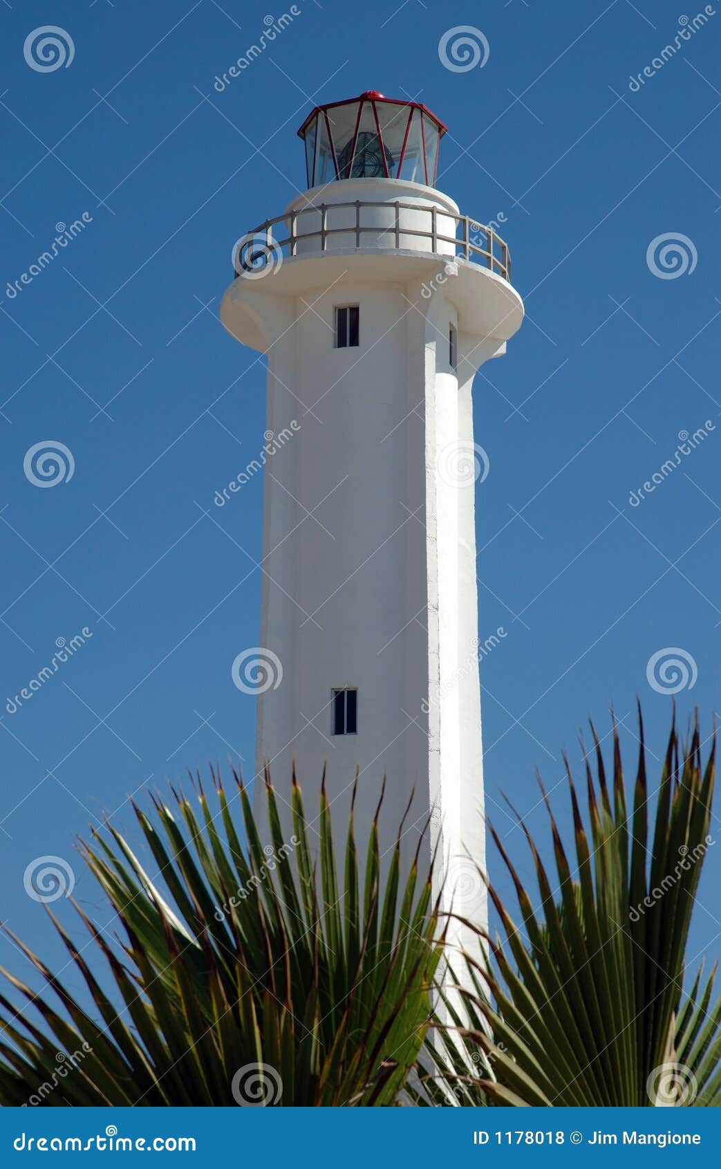 TijuanaLighthouse stock photo. Image of tree, pacific - 1178018