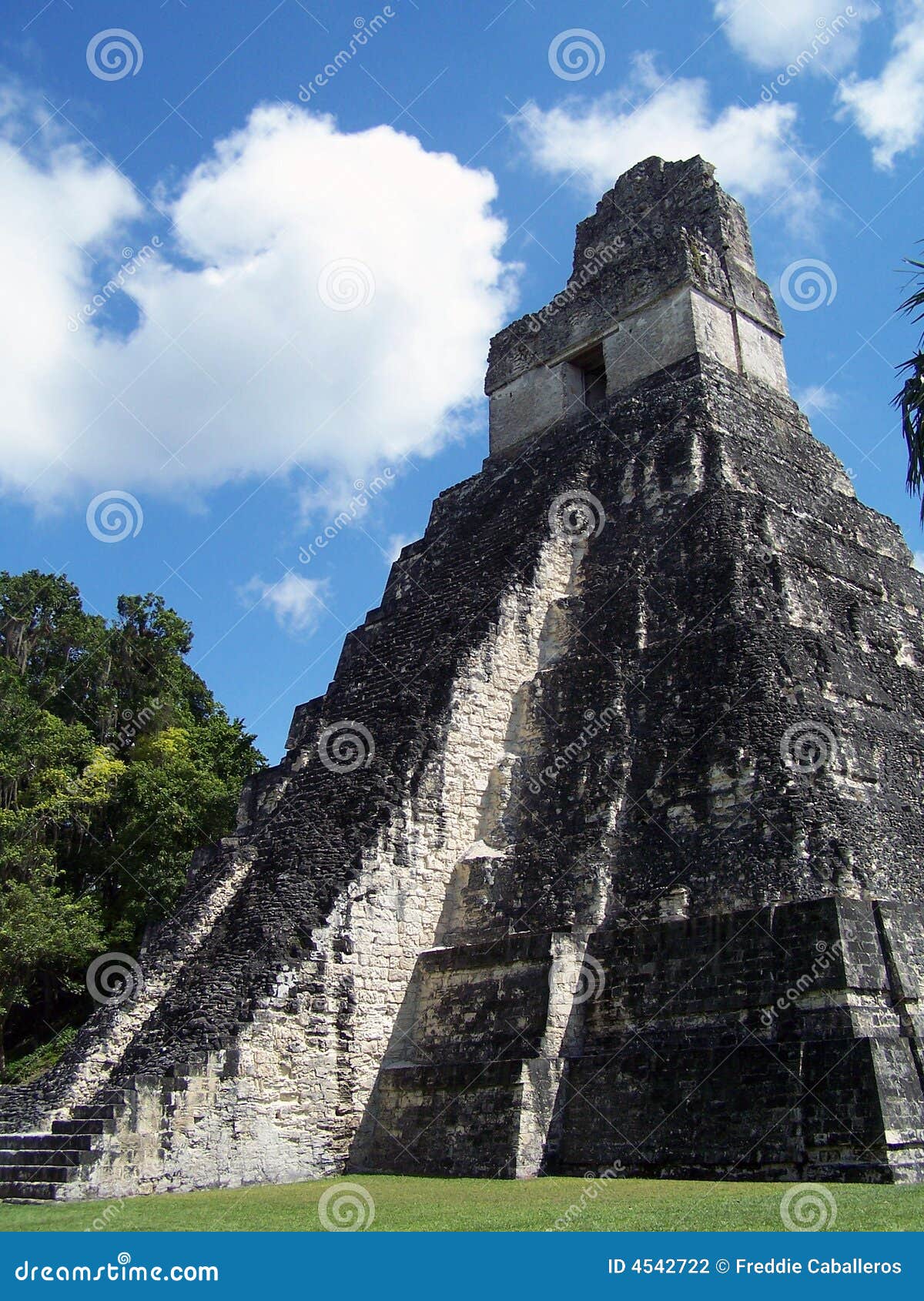 Tikal stock photo. Image of ruin, tikal, temple, historic - 4542722