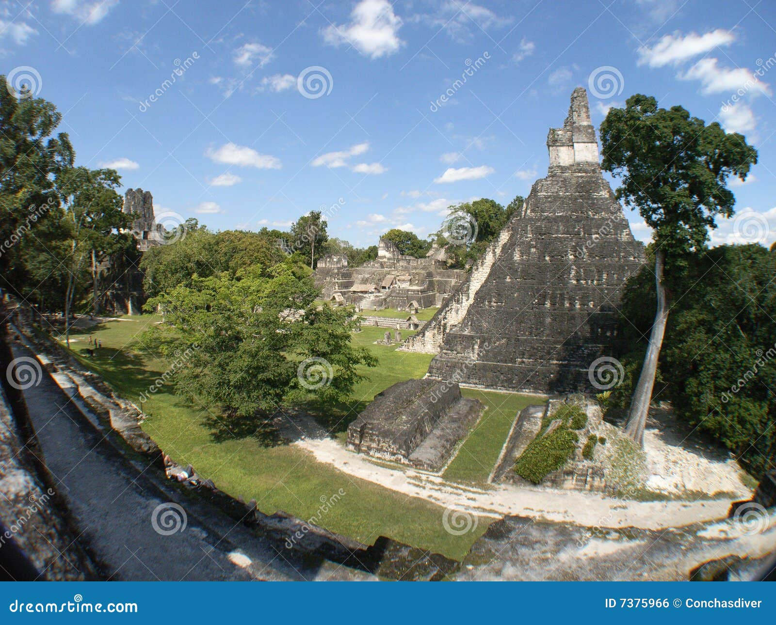 Tikal - great courtyard stock photo. Image of guatemala - 7375966