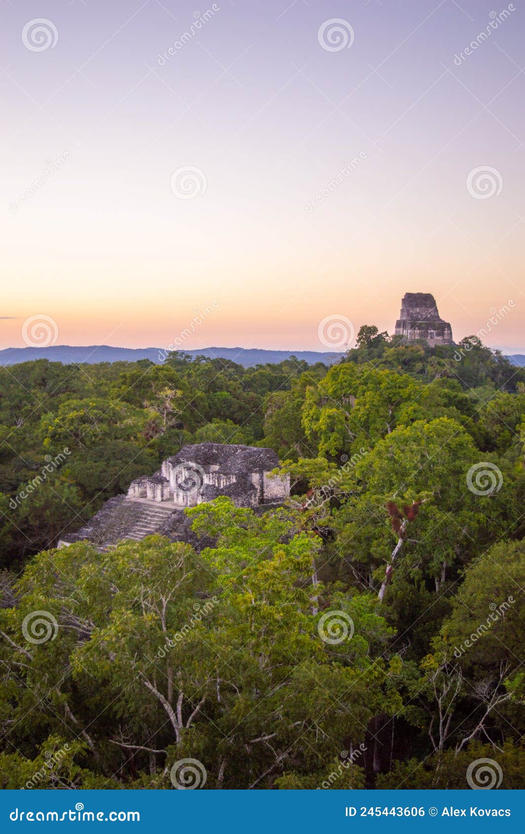 Tikal Guatemala sunset stock photo. Image of flower - 245443606