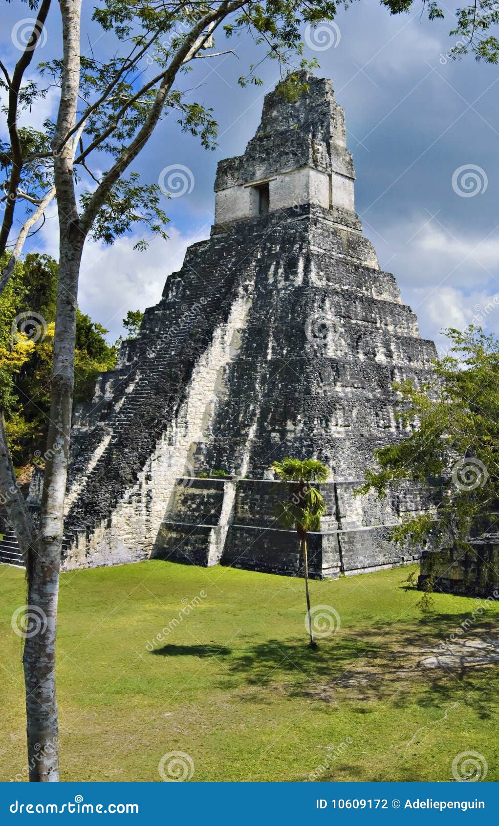 Tikal Maya Pyramid, Guatemala Stock Photo - Image of stones, ancient ...